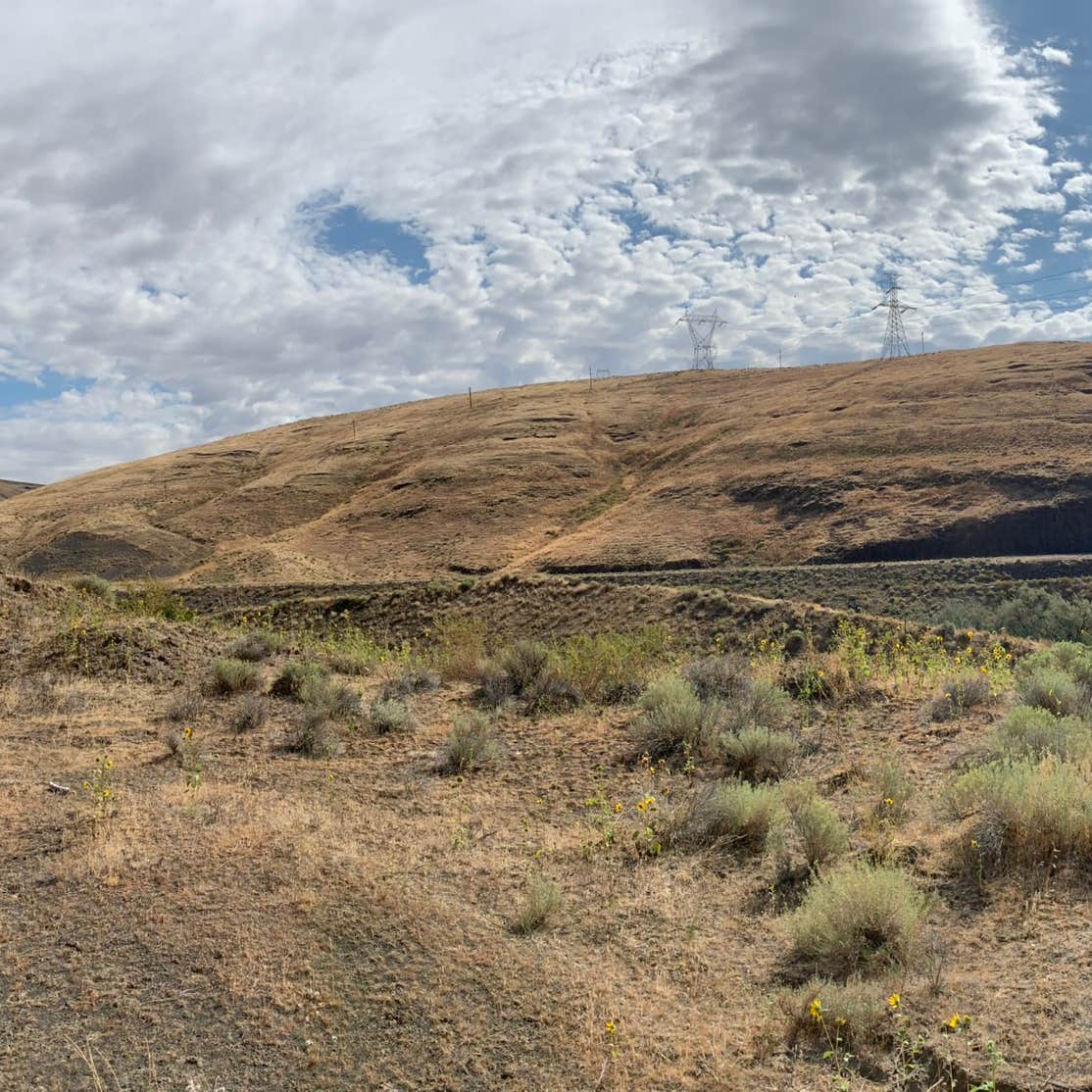 Riparia Camping | The Dyrt