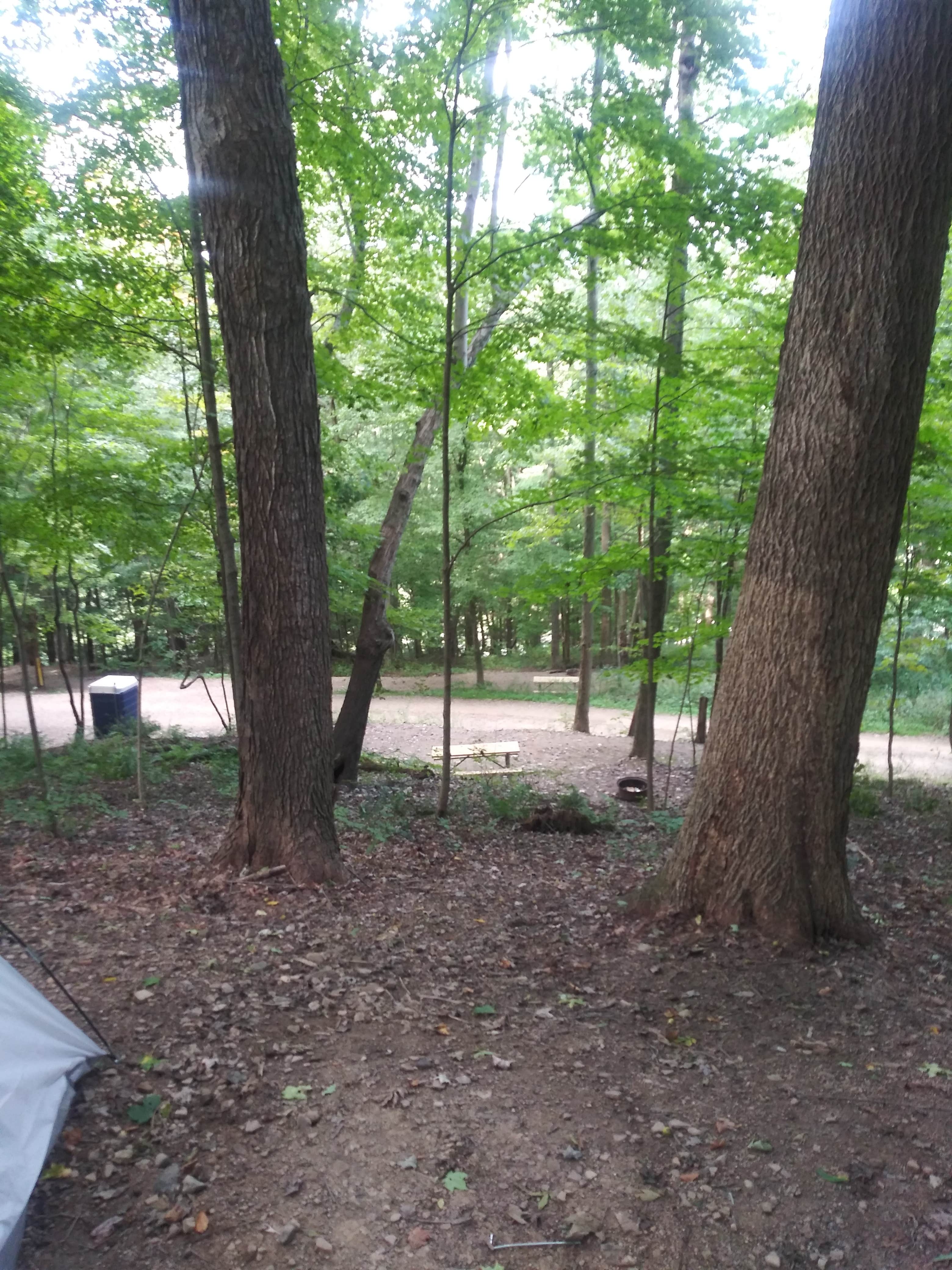 Mohican Adventures Campground and Cabins | Loudonville, OH
