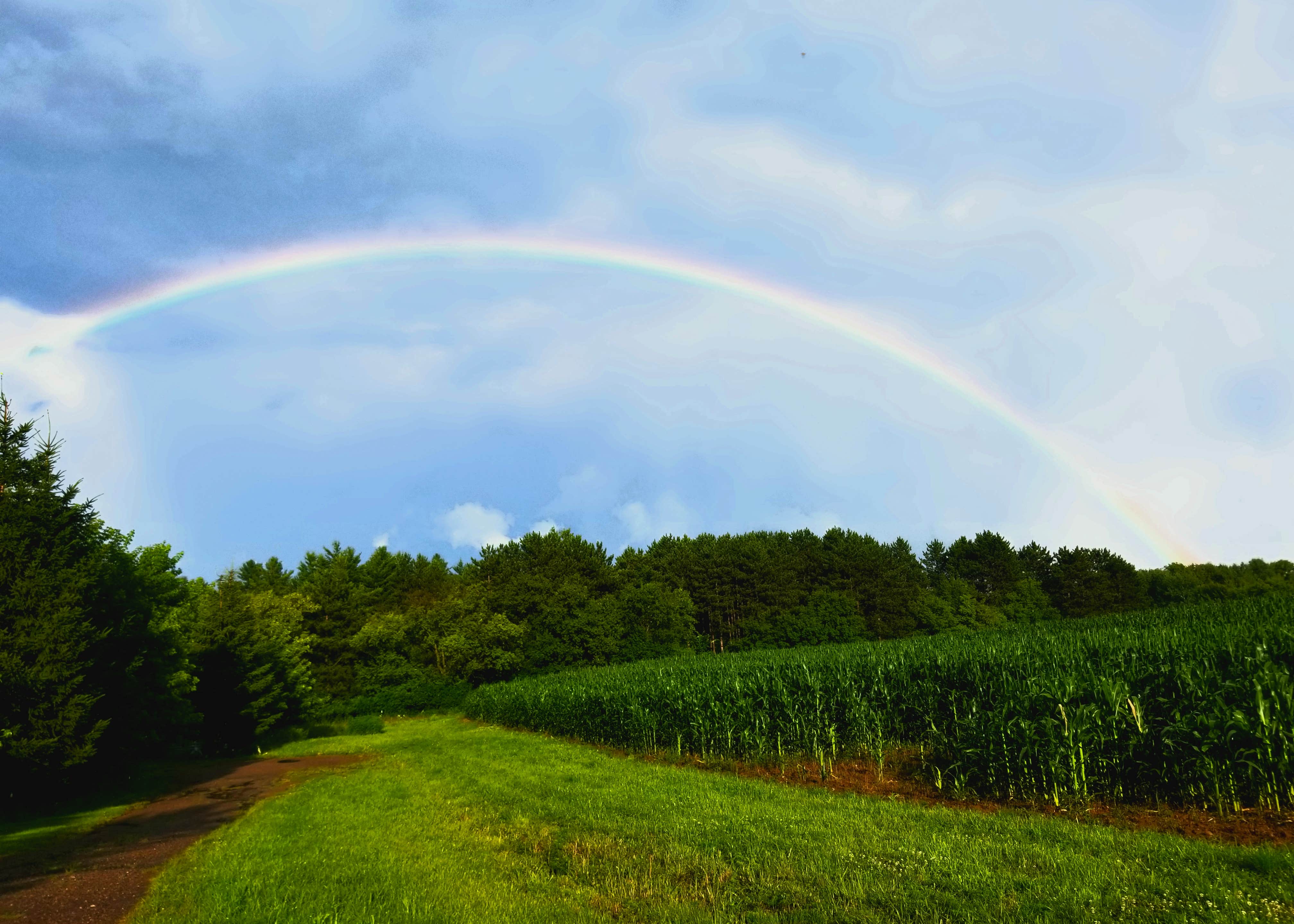 Springvale Campground Camping | The Dyrt