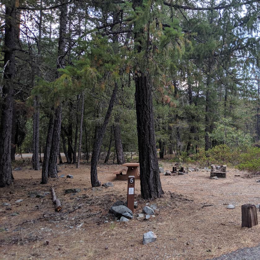 Trinity River (Ca) — Shasta Trinity National Forest Camping | Trinity ...