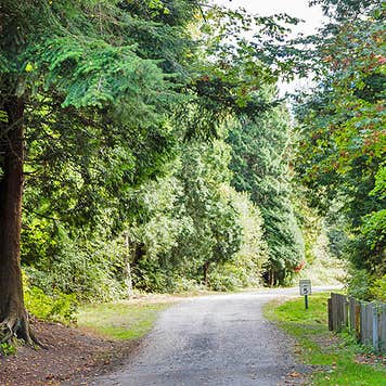 Birch Bay RV Campground Camping | The Dyrt