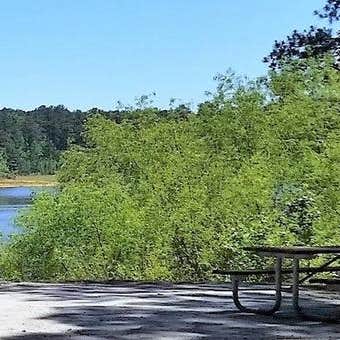 Big Hart Campground Camping | The Dyrt