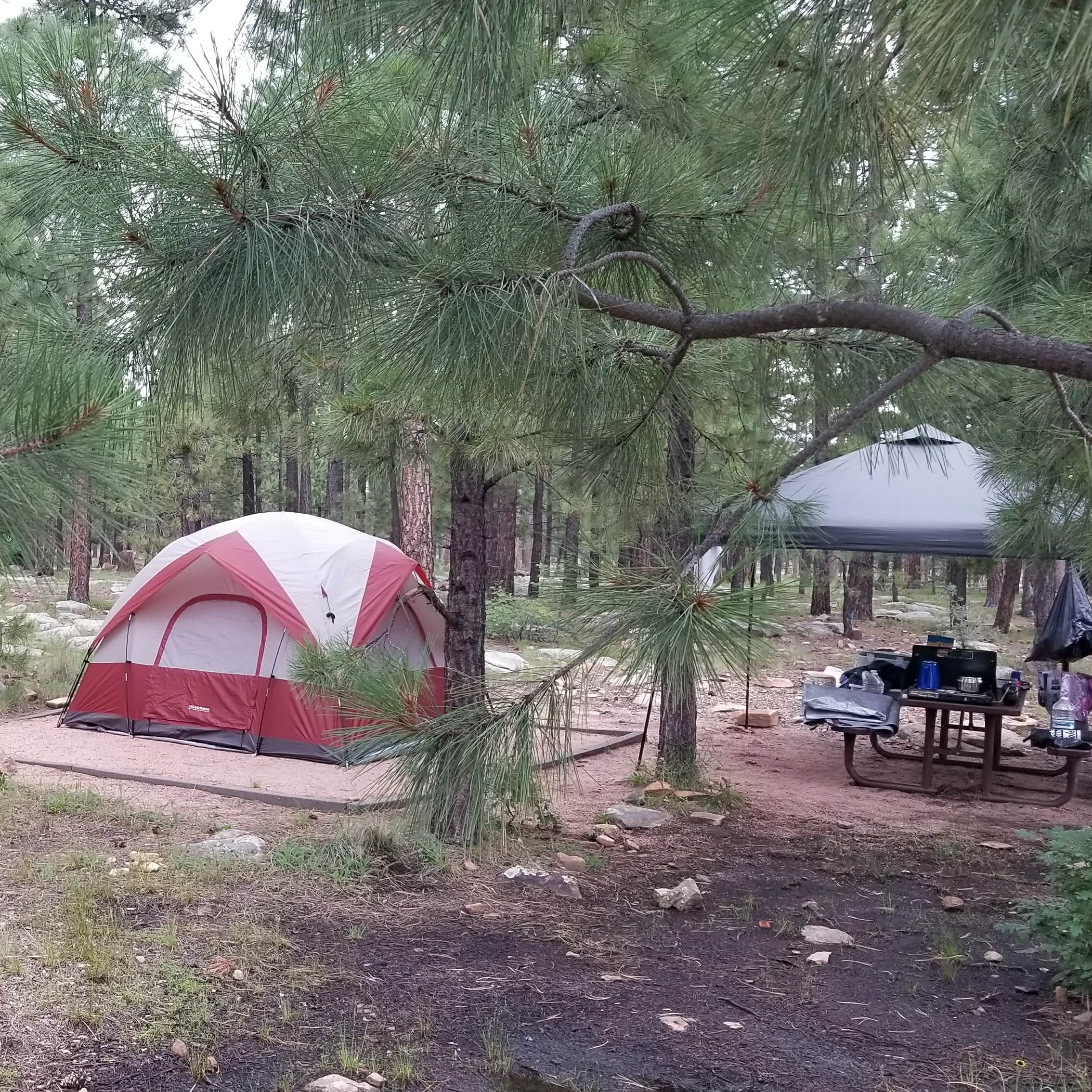 Rim Campground Camping | The Dyrt