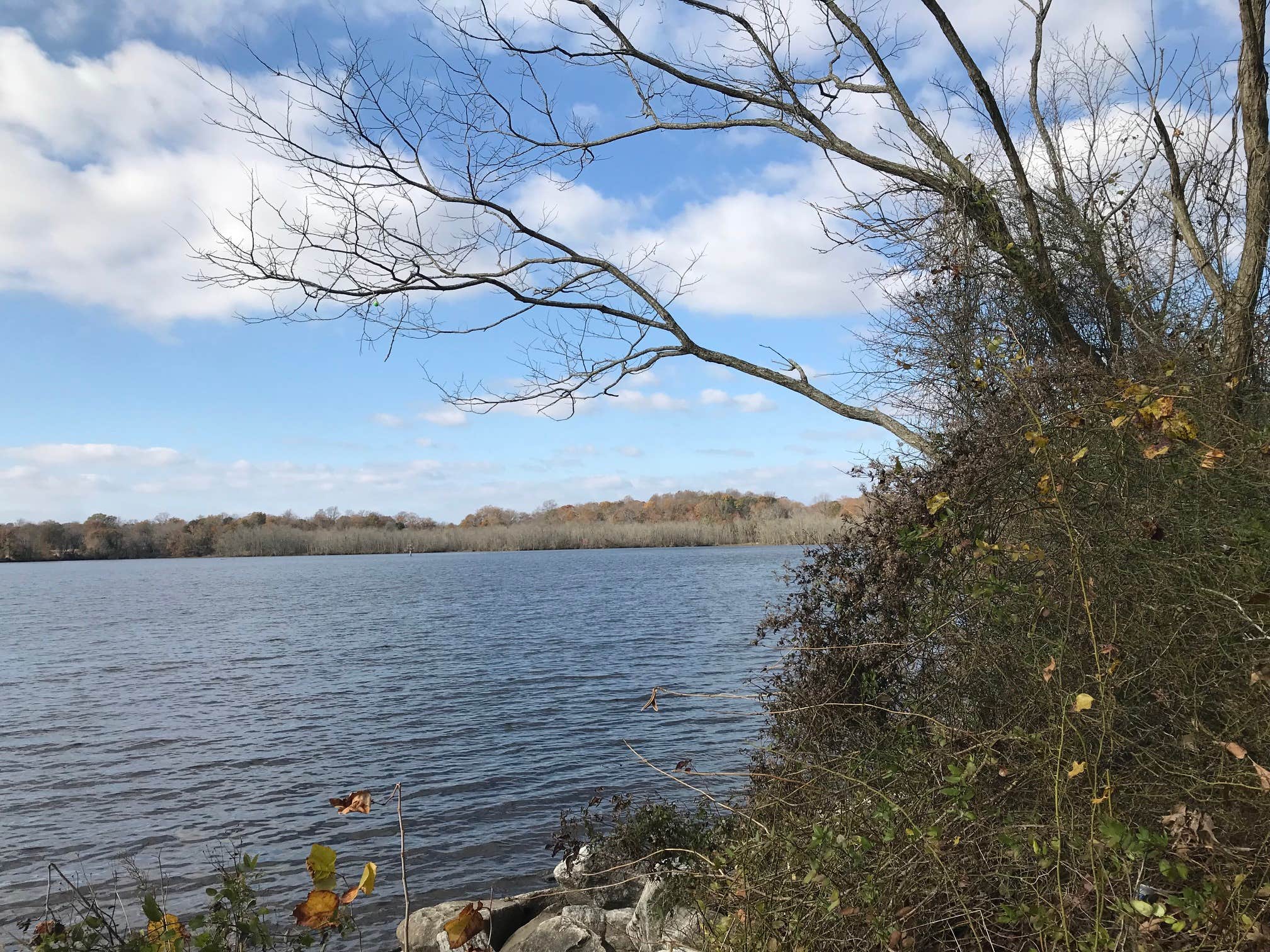 Martinak State Park Camping | The Dyrt