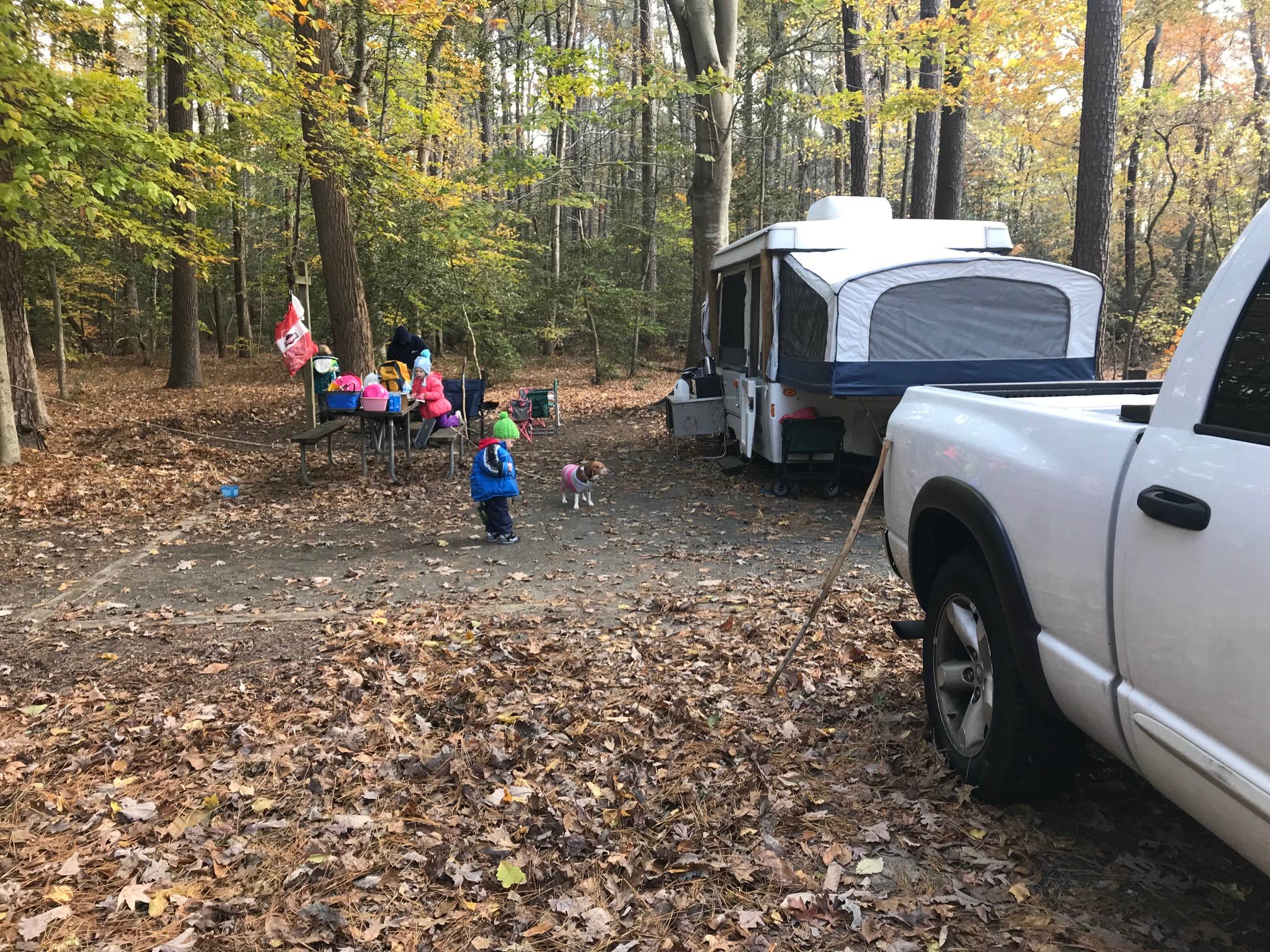 Martinak State Park Campground | Denton, Maryland