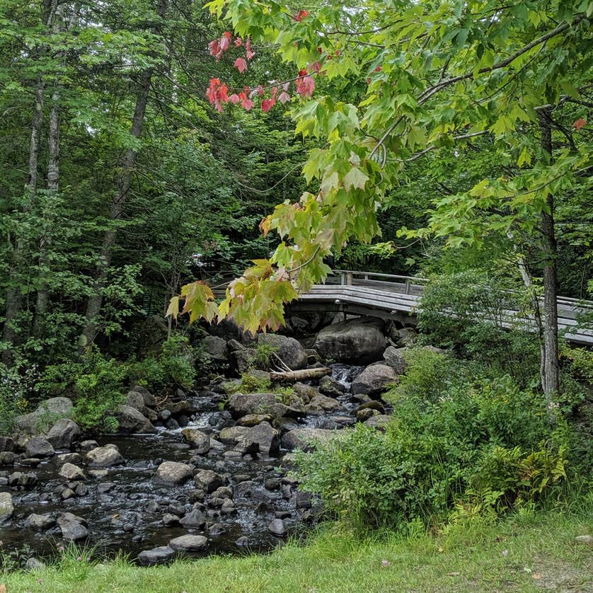 Stillwater State Park Camping | The Dyrt