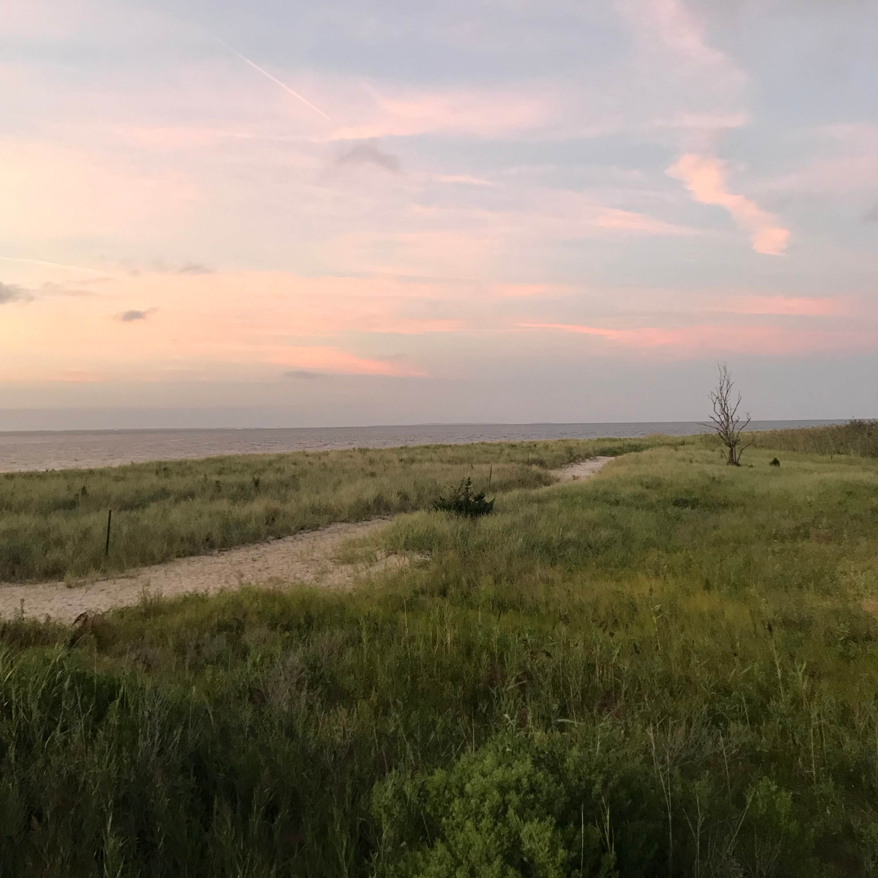 Cedar Point County Park Camping | The Dyrt