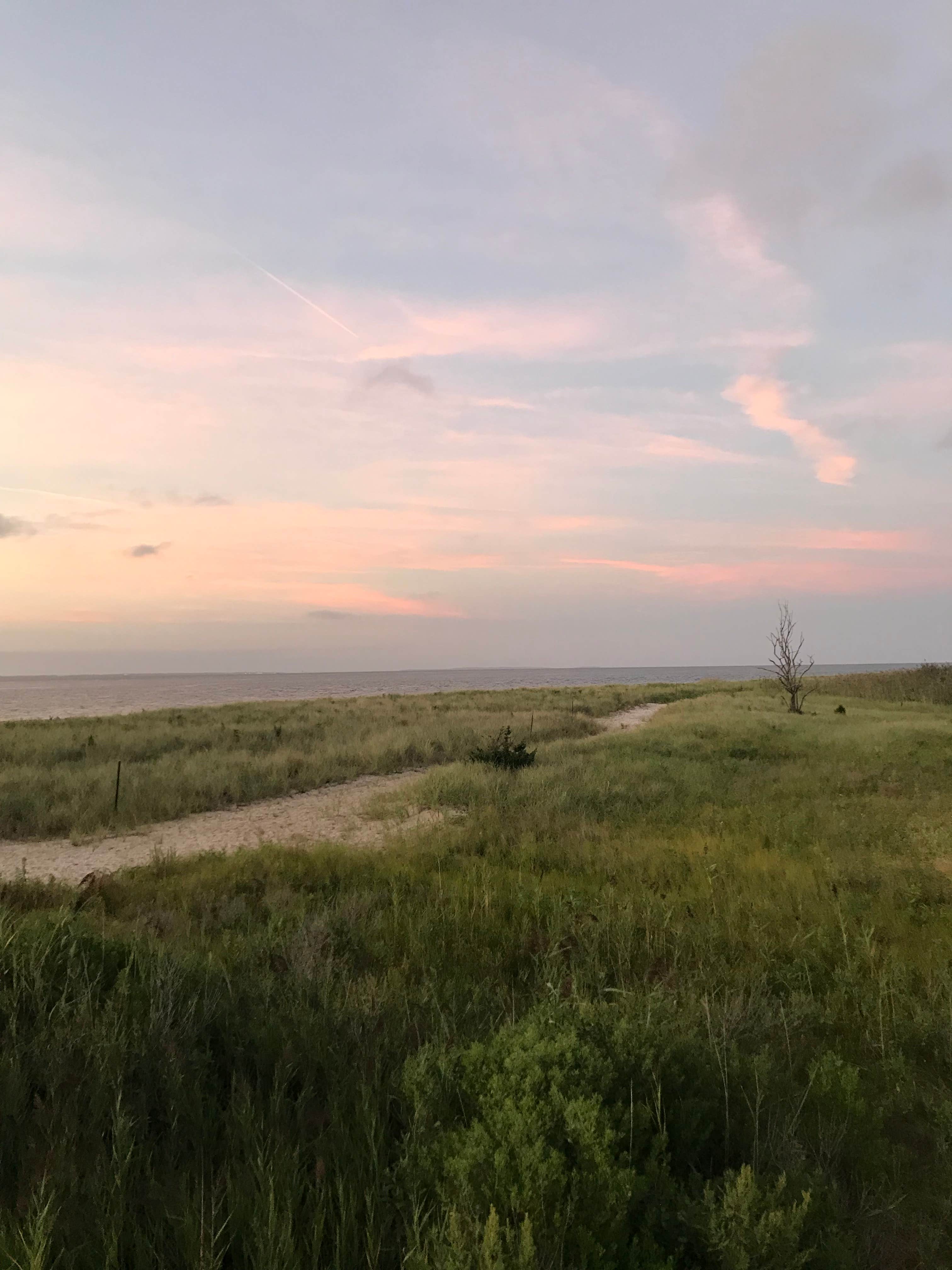 Cedar Point County Park Camping | East Hampton, NY