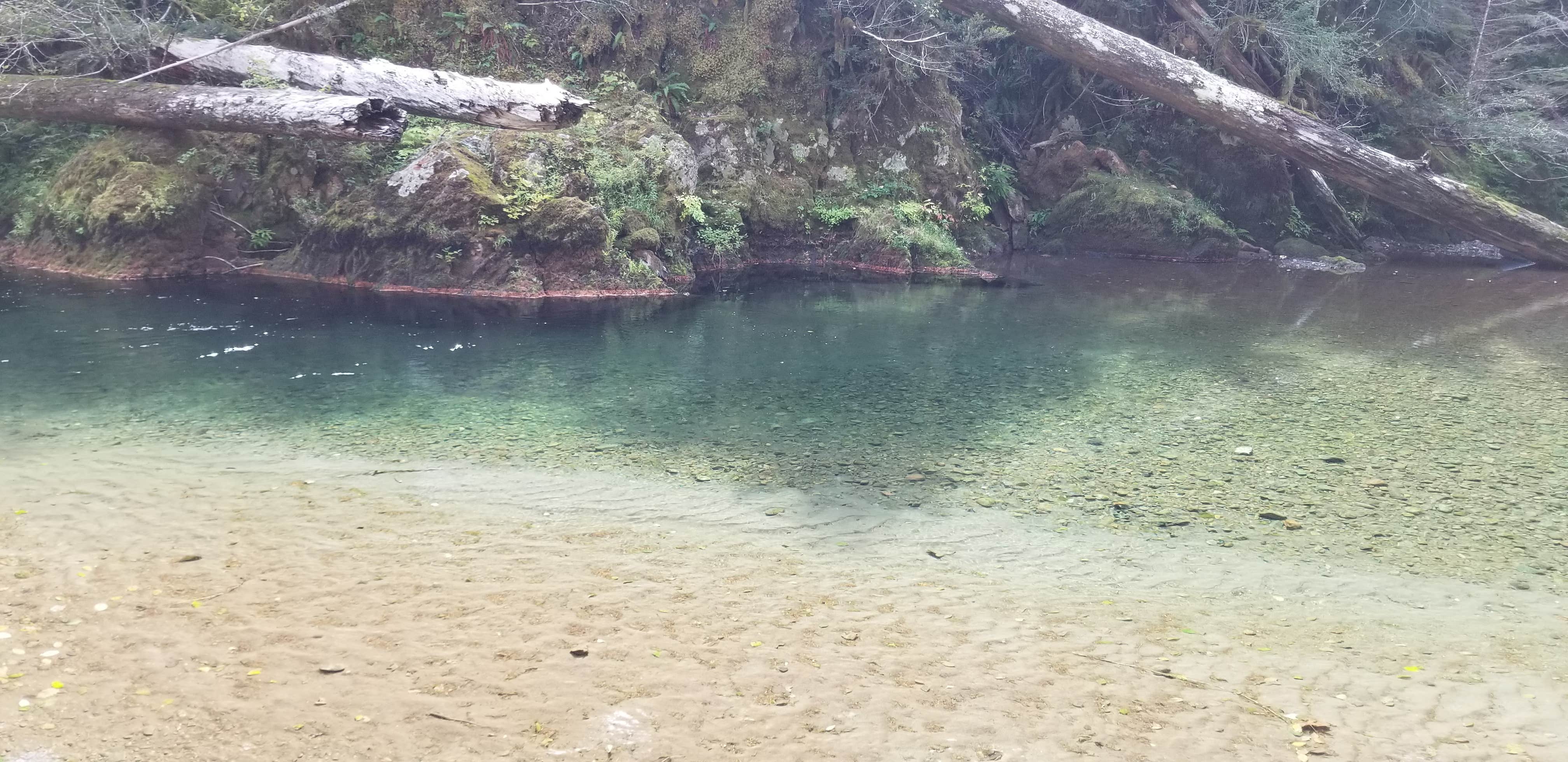 Humbug Campground | Detroit, OR