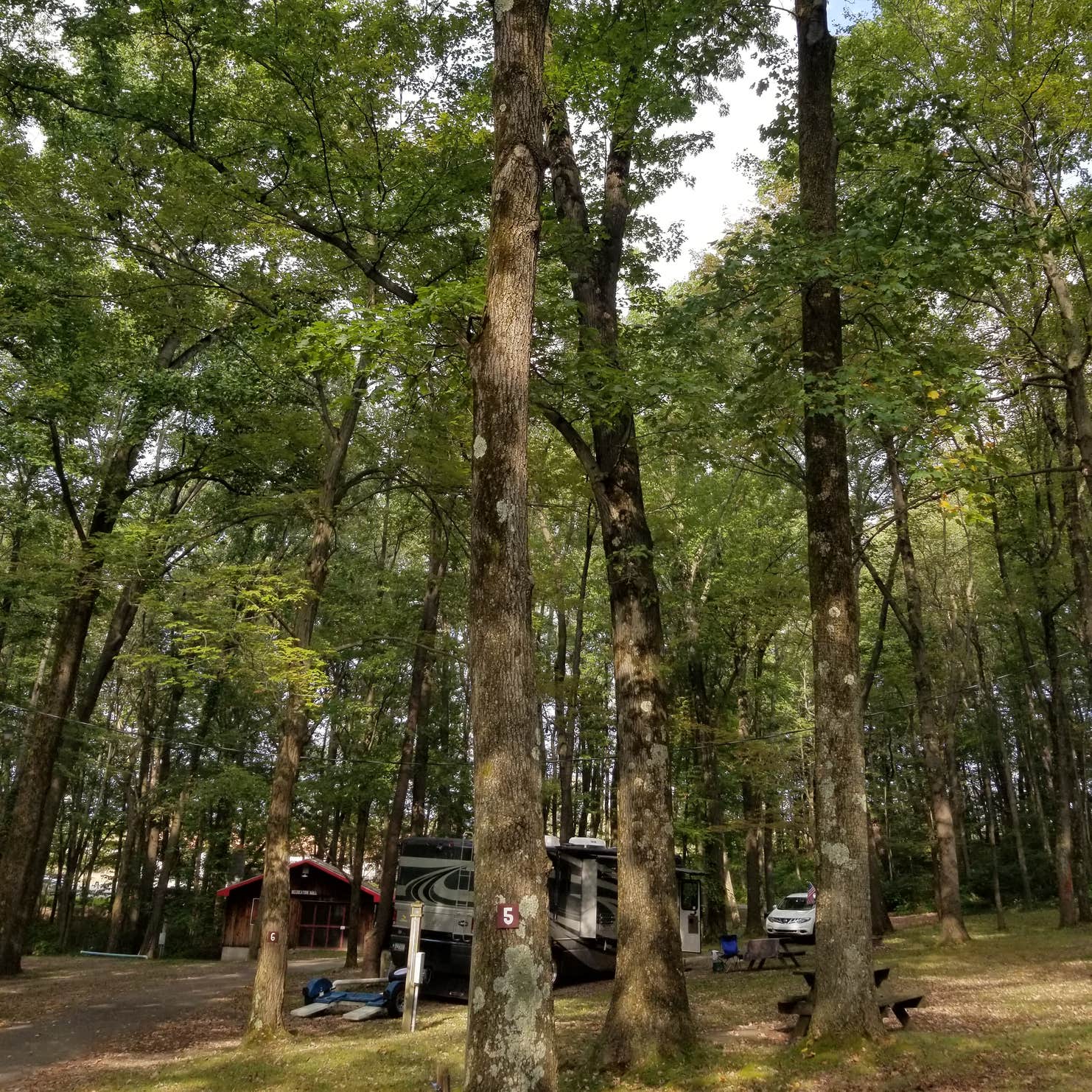 Donegal Campground Camping | The Dyrt