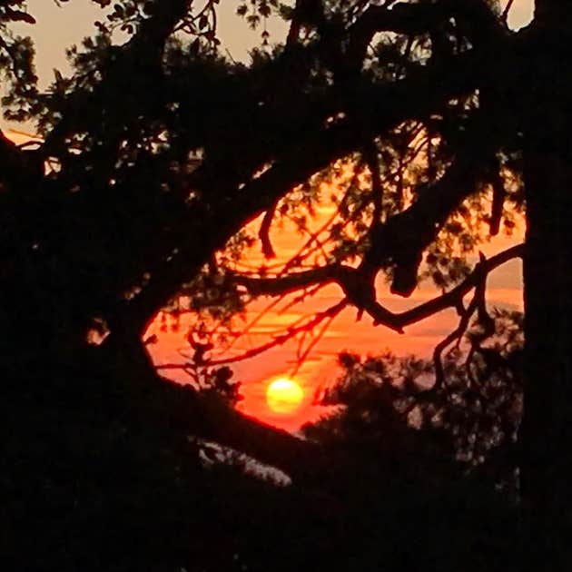 Fern Basin Campground | Idyllwild-Pine Cove, California