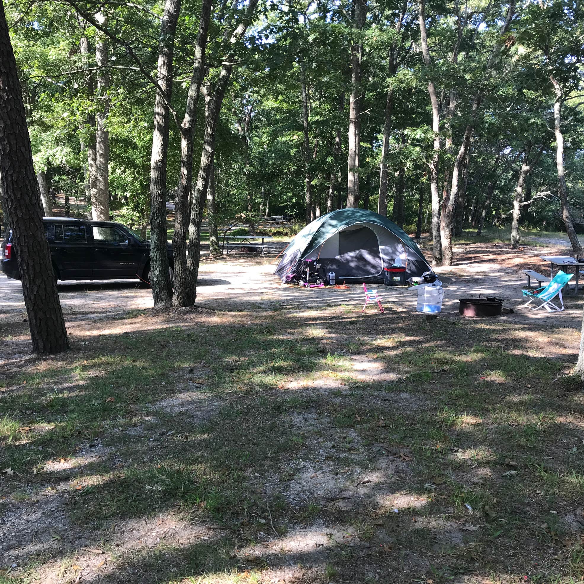 Sears Bellows County Park Camping | The Dyrt