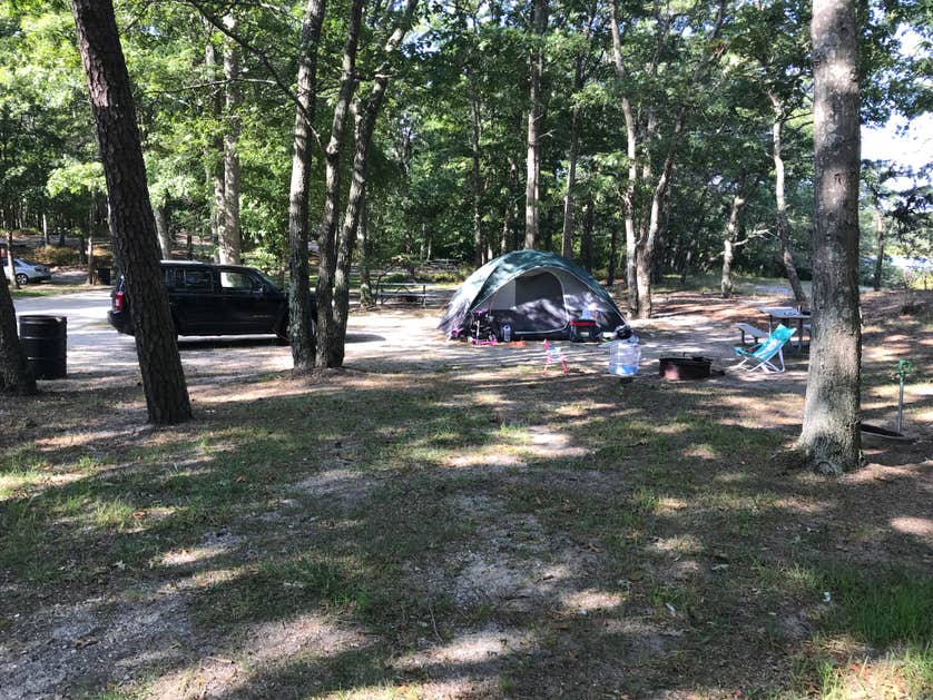 Sears Bellows County Park Camping | The Dyrt