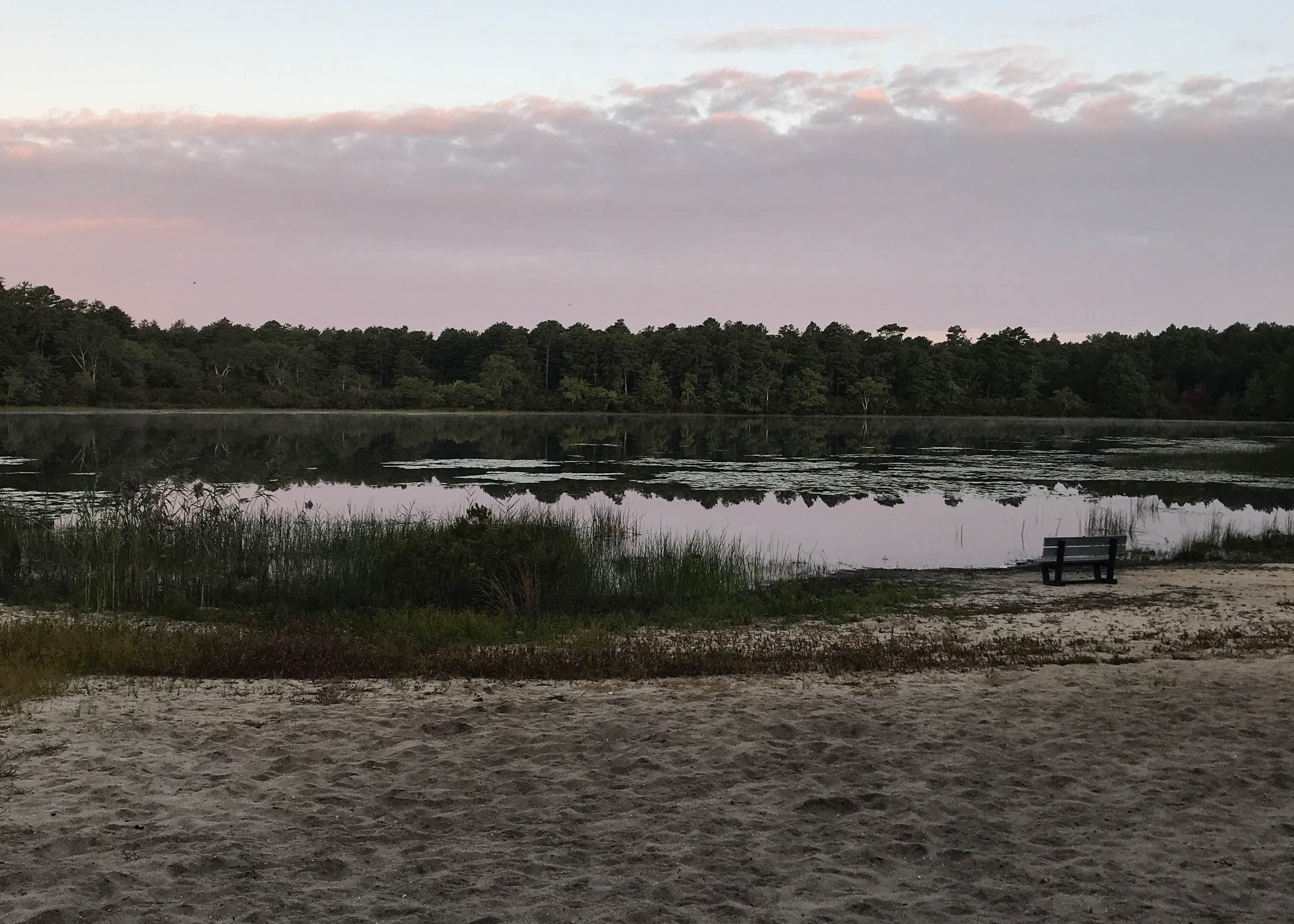 Sears Bellows County Park Camping | The Dyrt