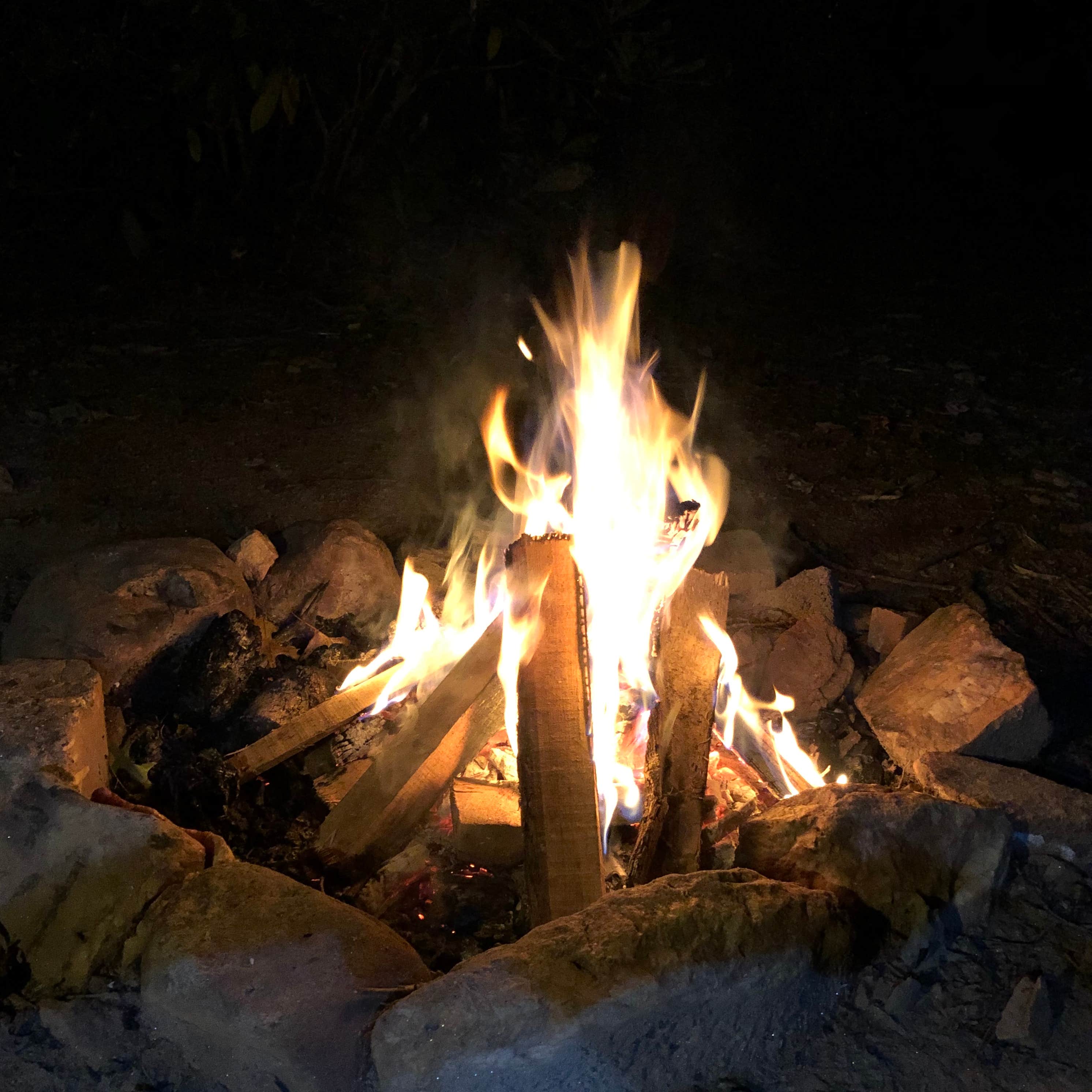 Springmaid Mountain Cabins and Campground Camping | The Dyrt