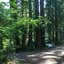 Limberlost Campground | Mckenzie Bridge, Oregon