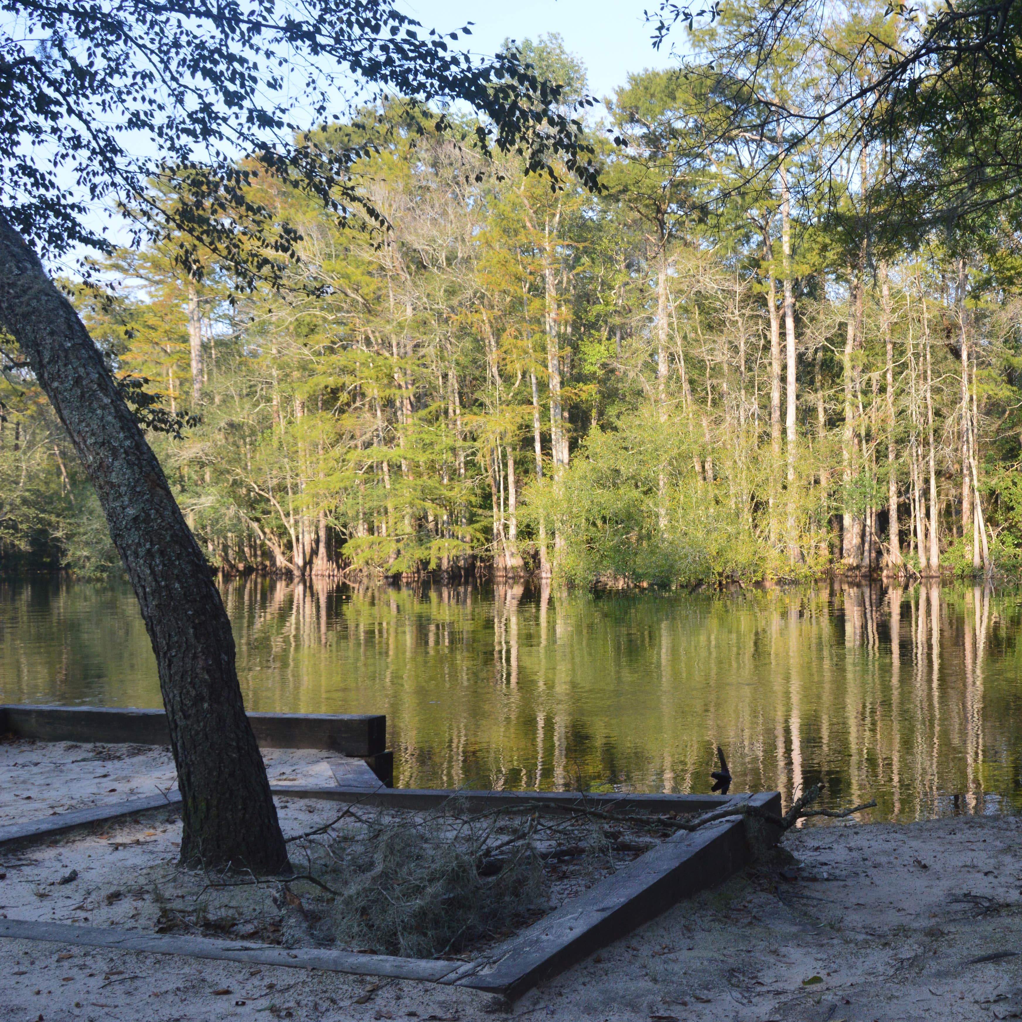 Princess Ann — Lumber River State Park Camping | Orrum, North Carolina