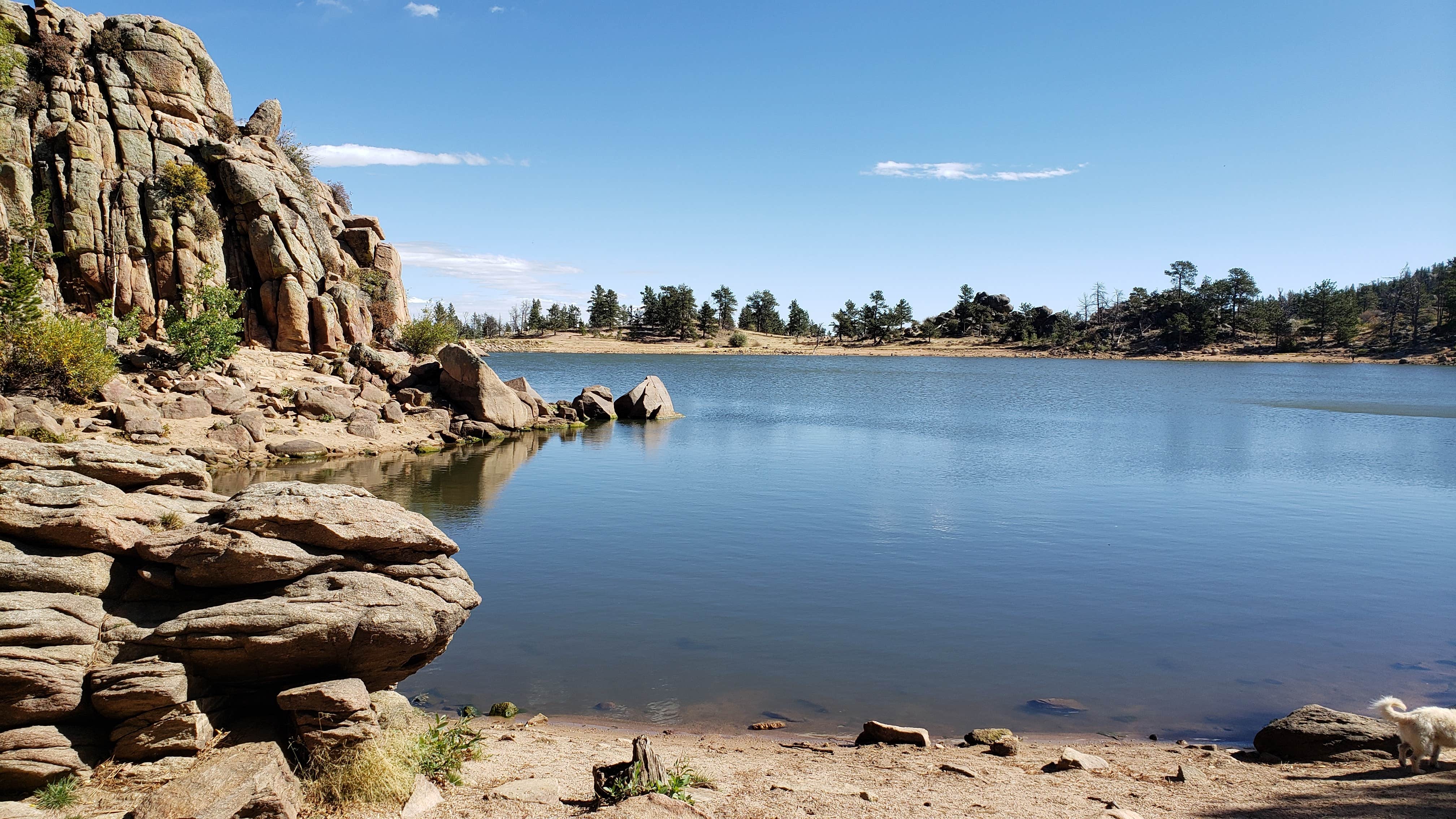 Bellaire Lake Campground | Red Feather Lakes, CO