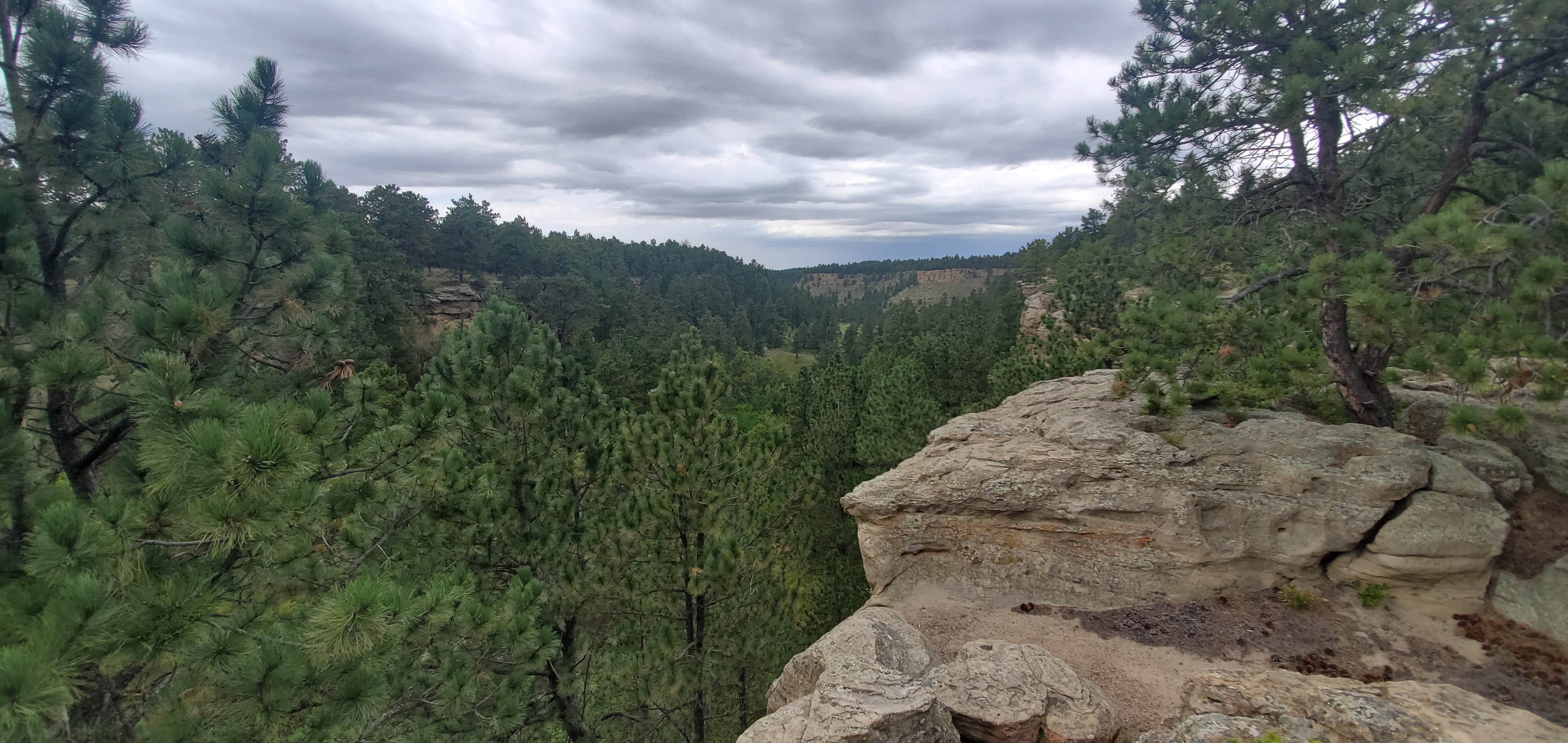 Picnic Spring Campground | Reva, MT