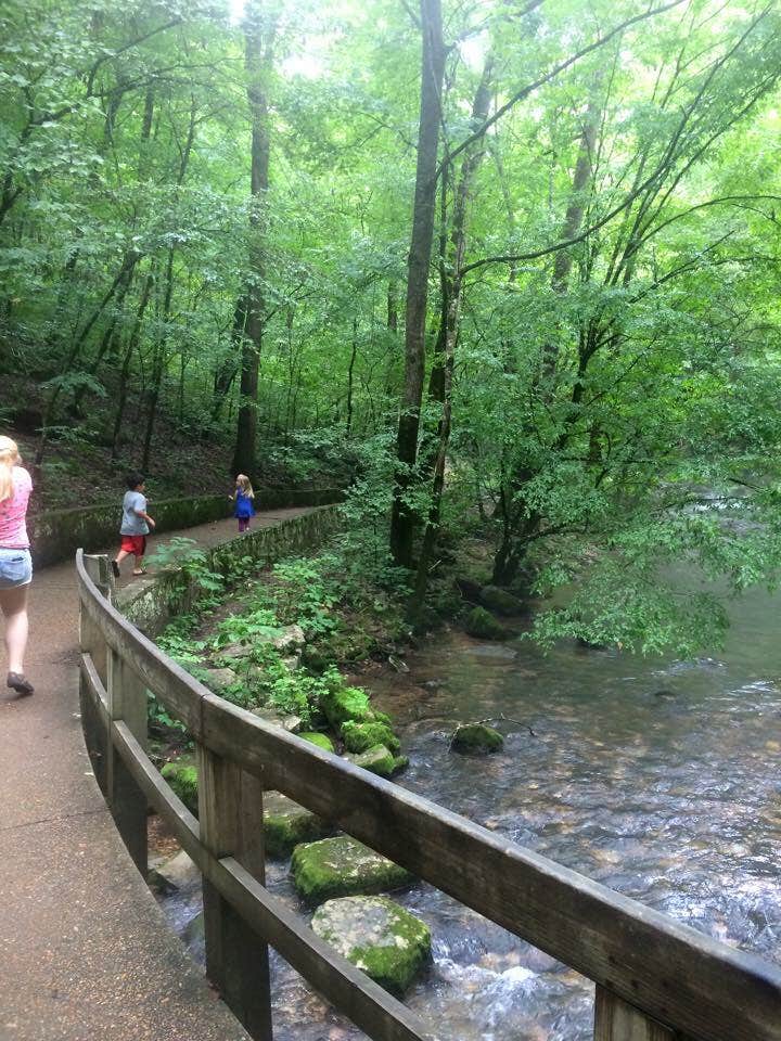 Gunner Pool Recreation Area Camping | Fifty-Six, Arkansas