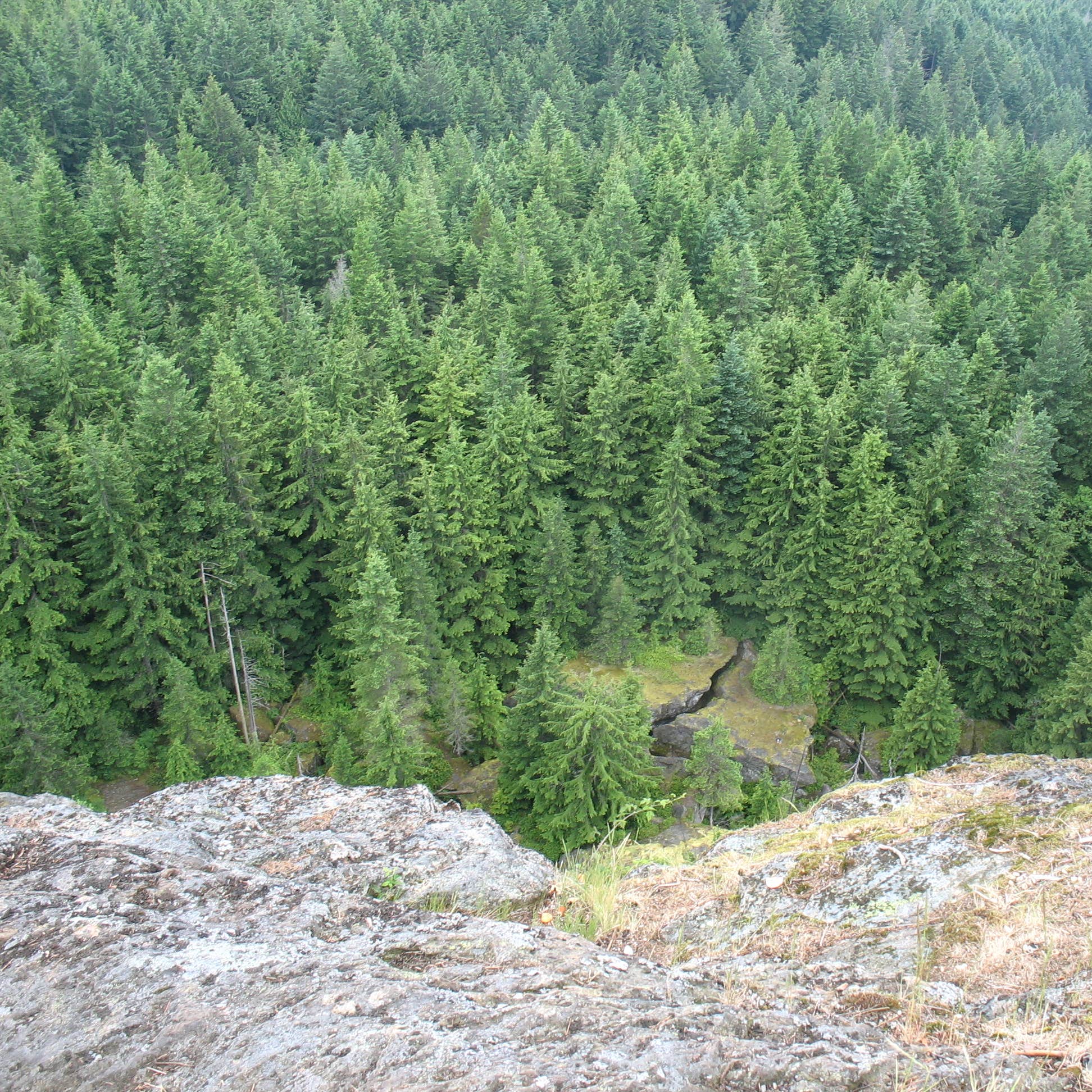 Larrabee State Park Camping | The Dyrt