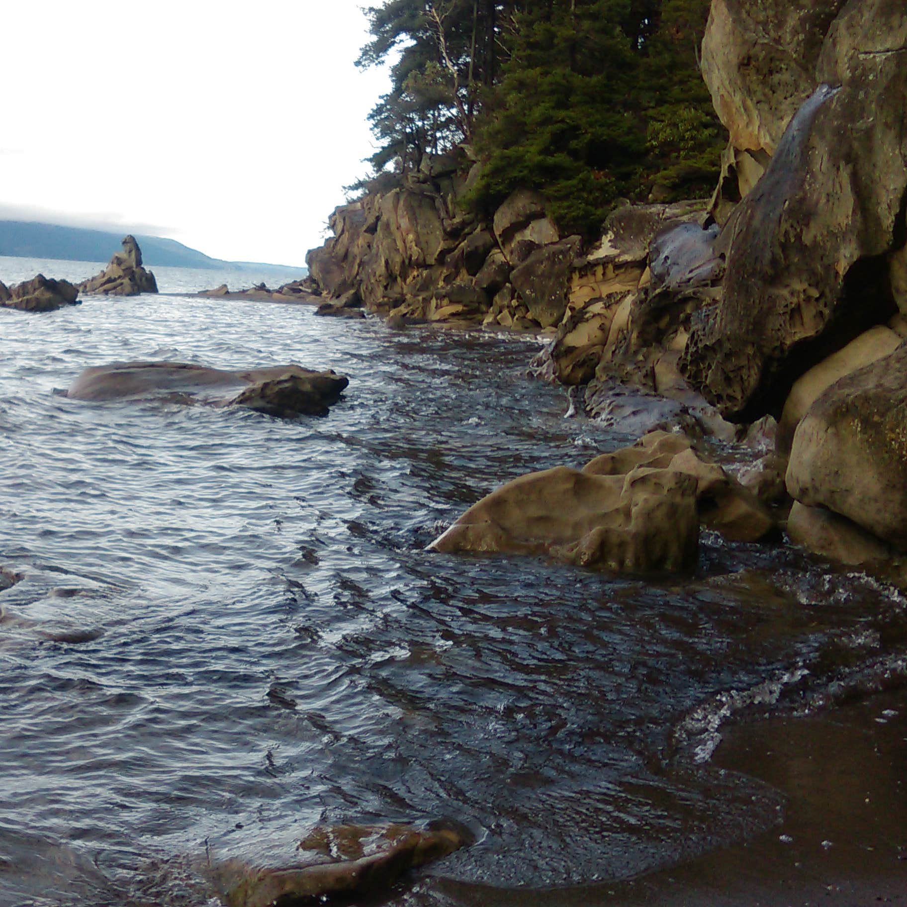 Larrabee State Park Camping | The Dyrt