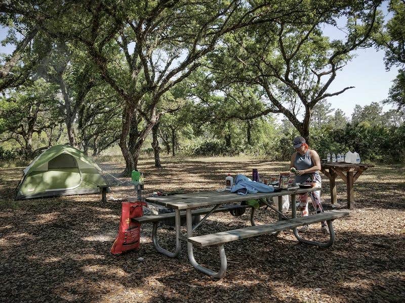 Hal Scott Preserve County Park | The Dyrt