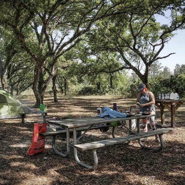 Hal Scott Preserve County Park Camping | Christmas, Florida
