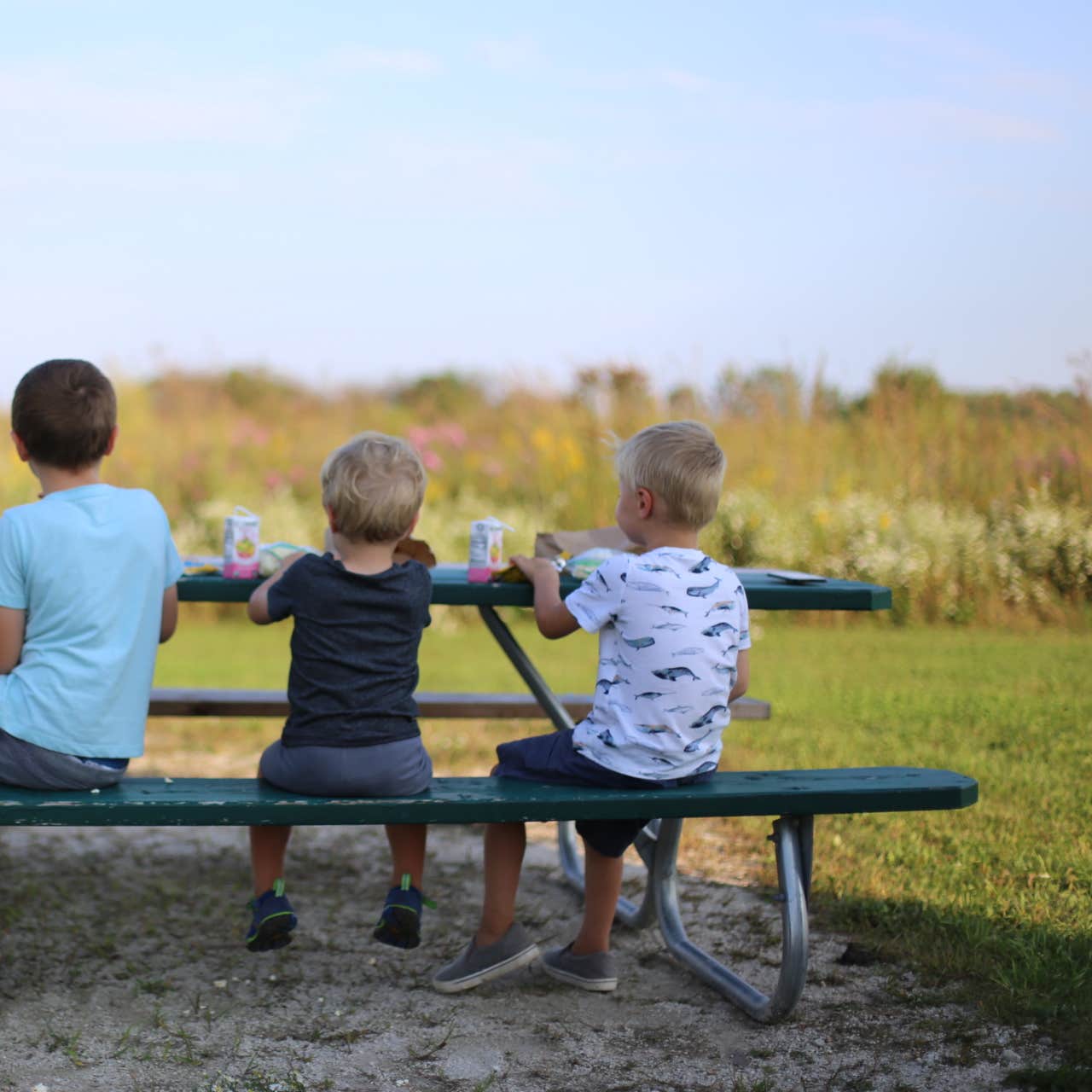 Big Rock Campground Camping | The Dyrt