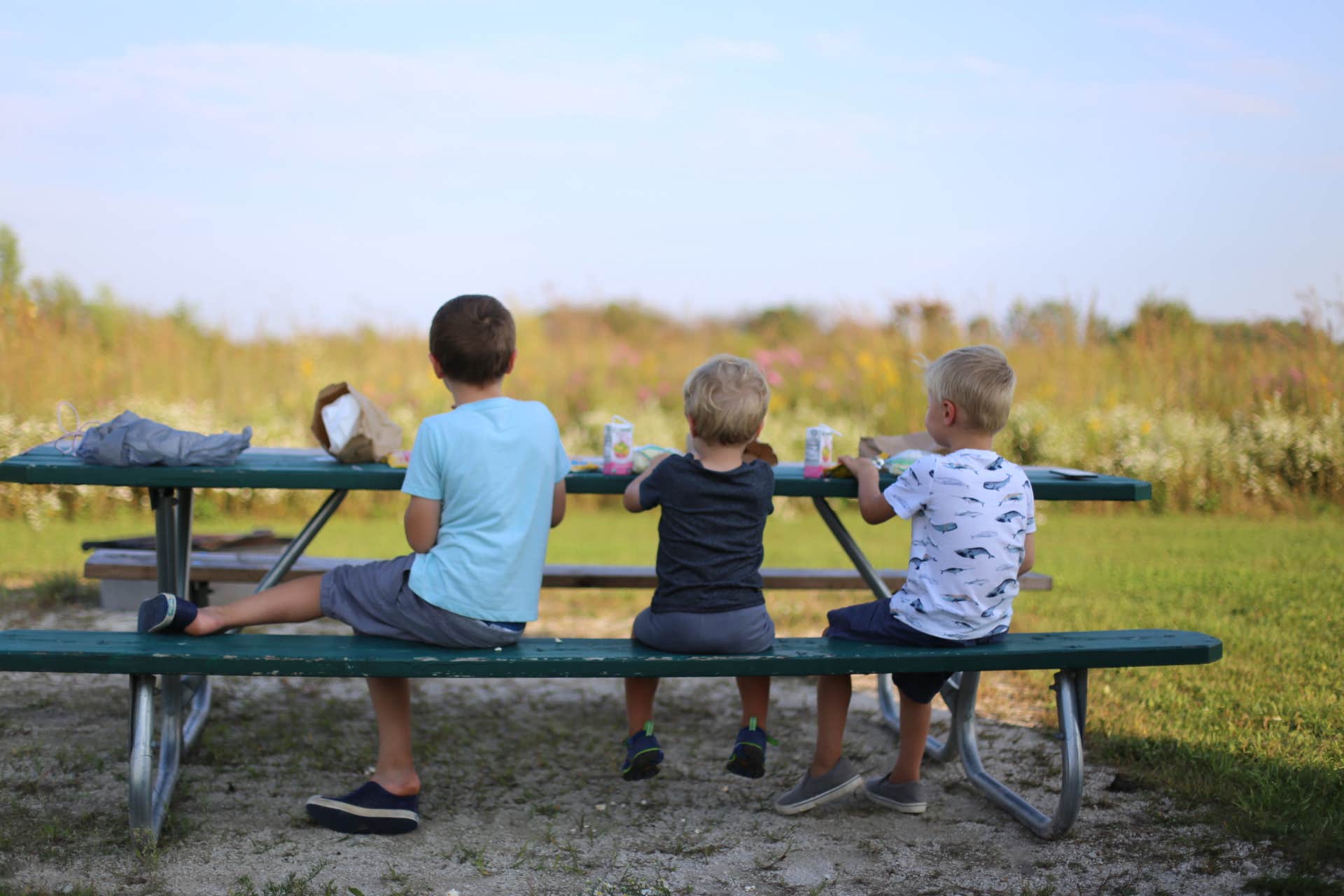 Big Rock Campground | Big Rock, Illinois