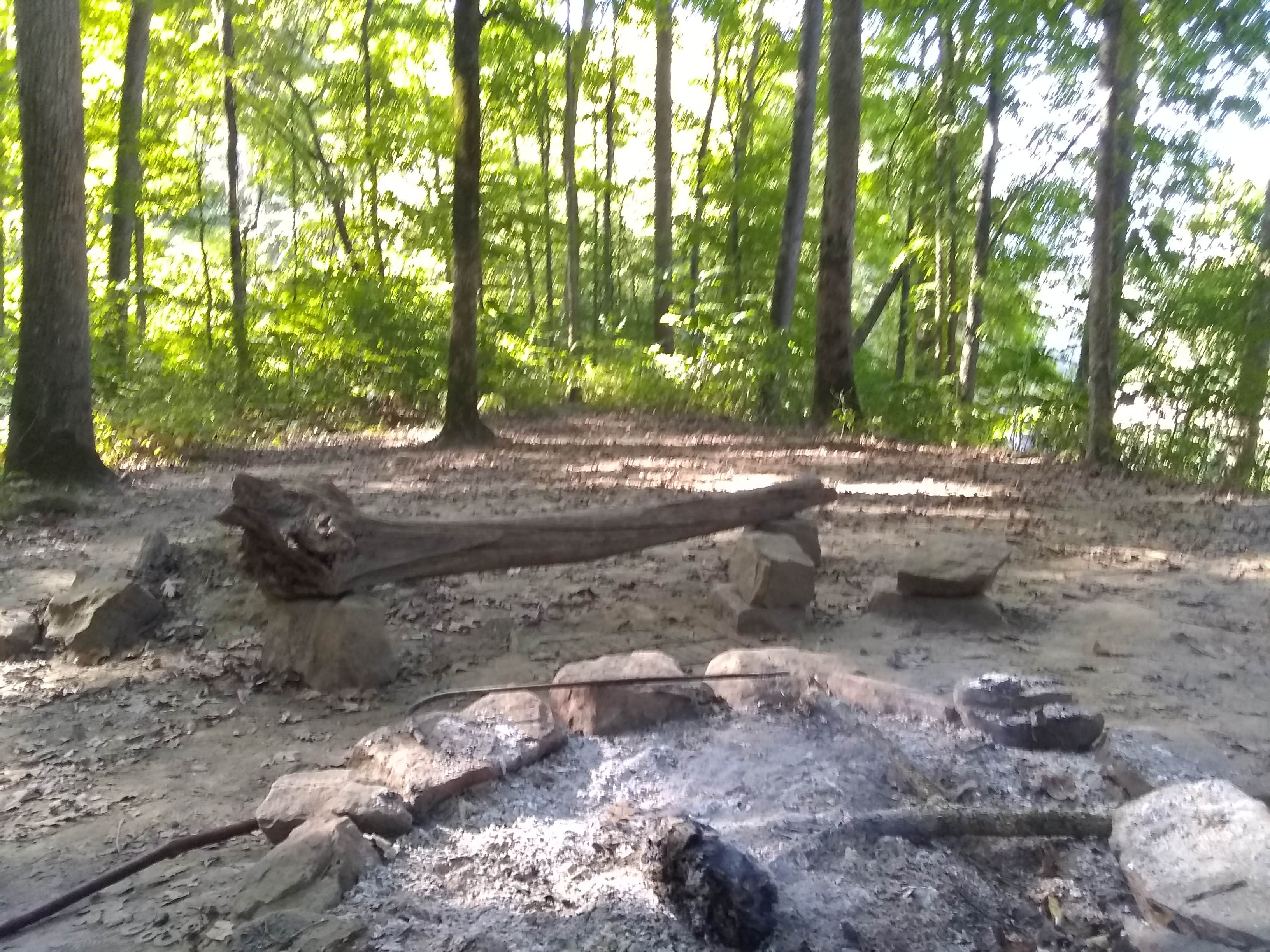 Grove Boat-In Campground | Corbin, KY