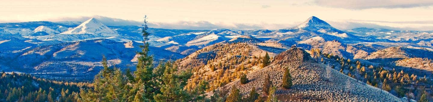 Ochoco Forest Camp | The Dyrt