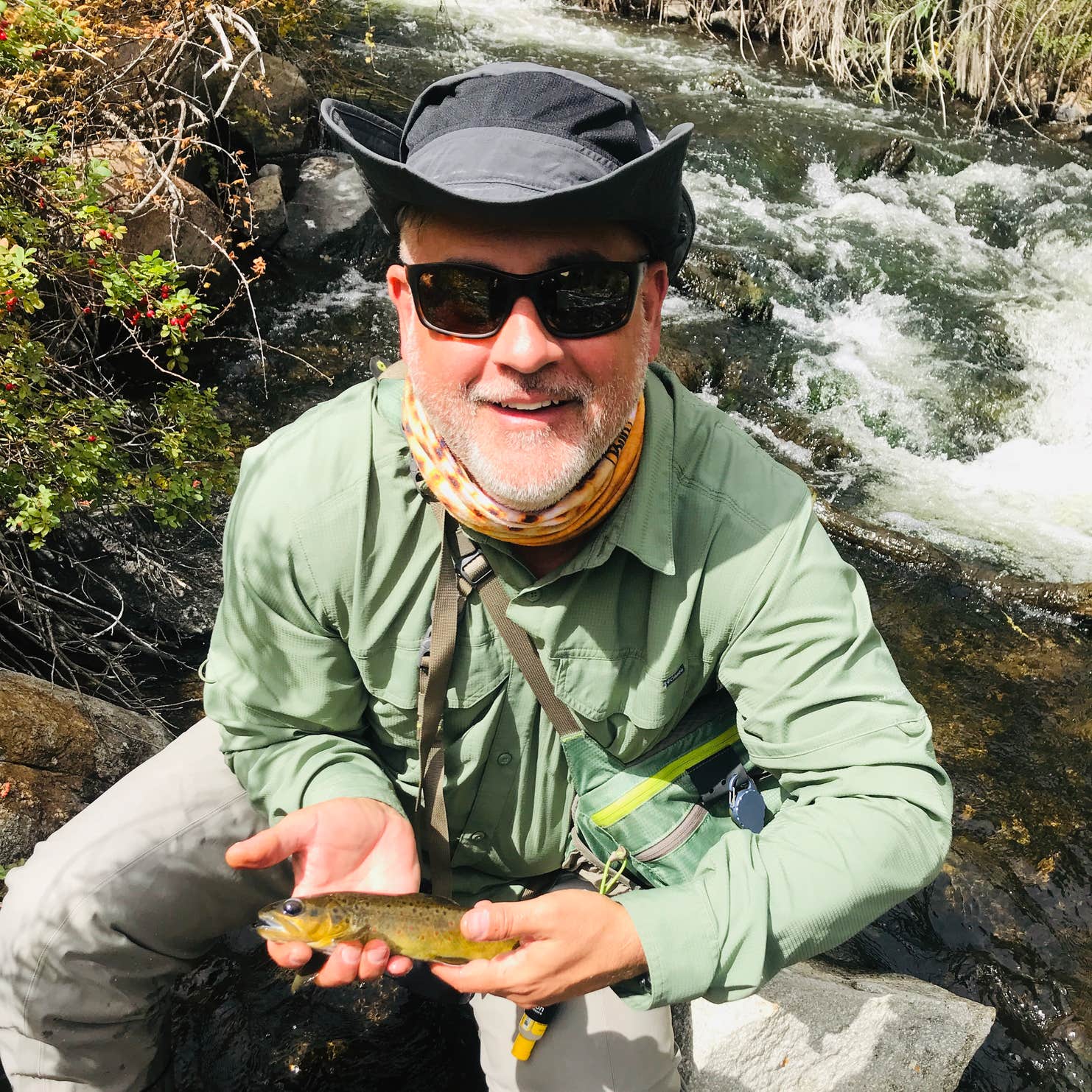 Junebug Campground Camping | The Dyrt