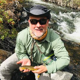 Junebug Campground Camping | The Dyrt