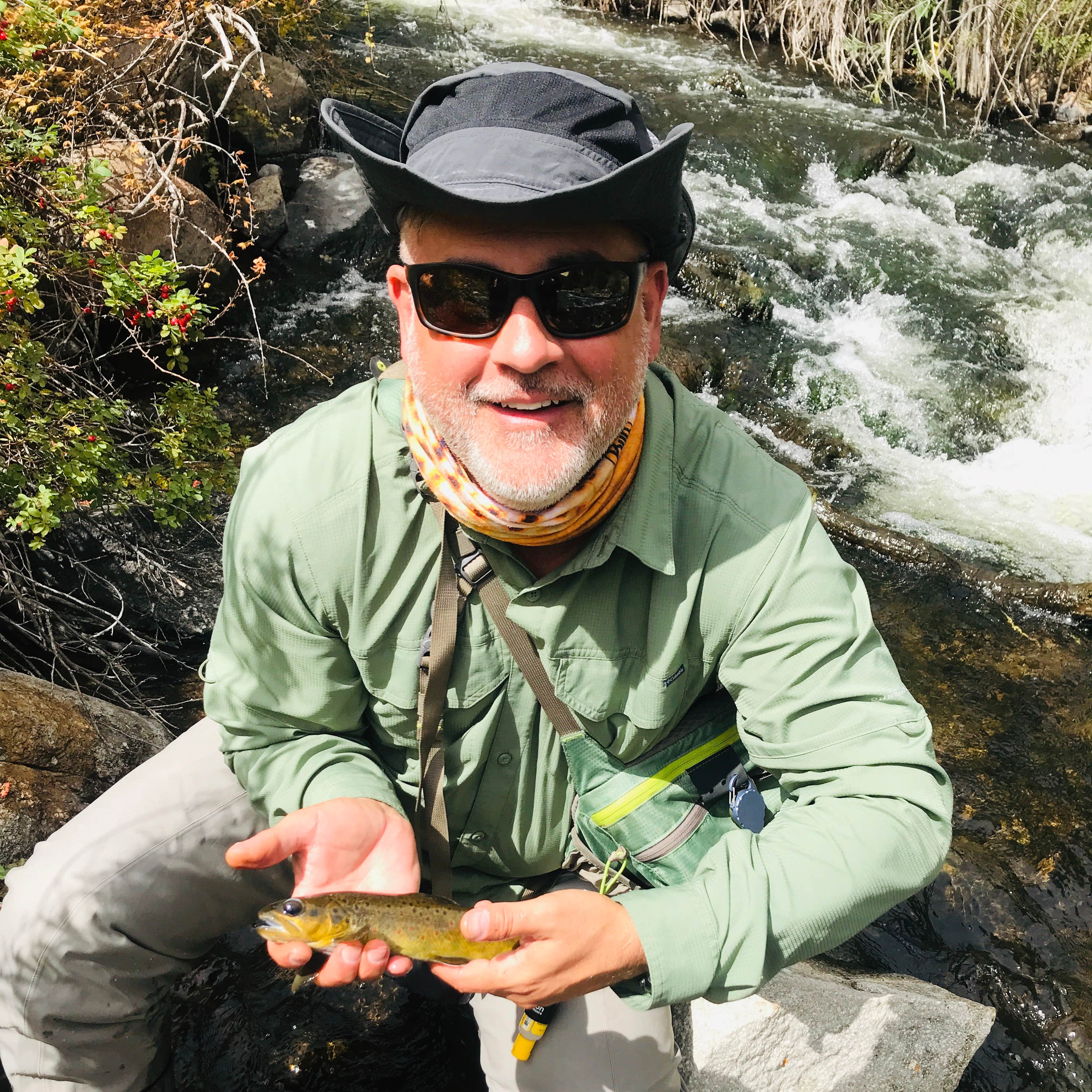 Junebug Campground Camping | The Dyrt