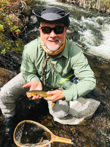 Junebug Campground Camping | The Dyrt