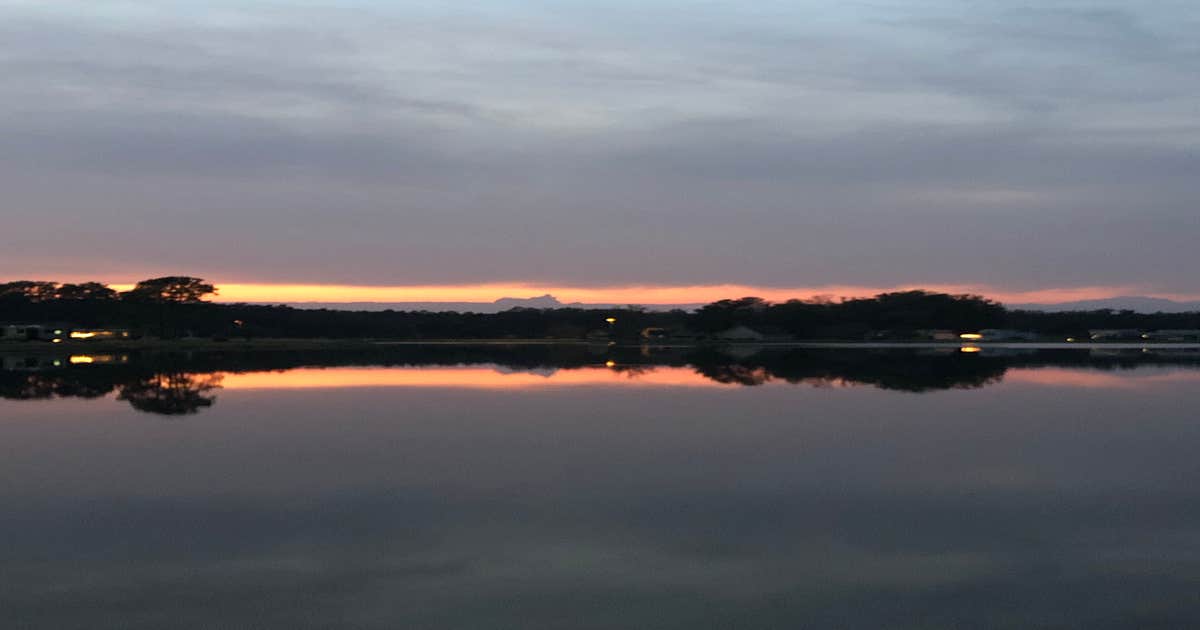 Willow Tree RV Resort Camping | The Dyrt