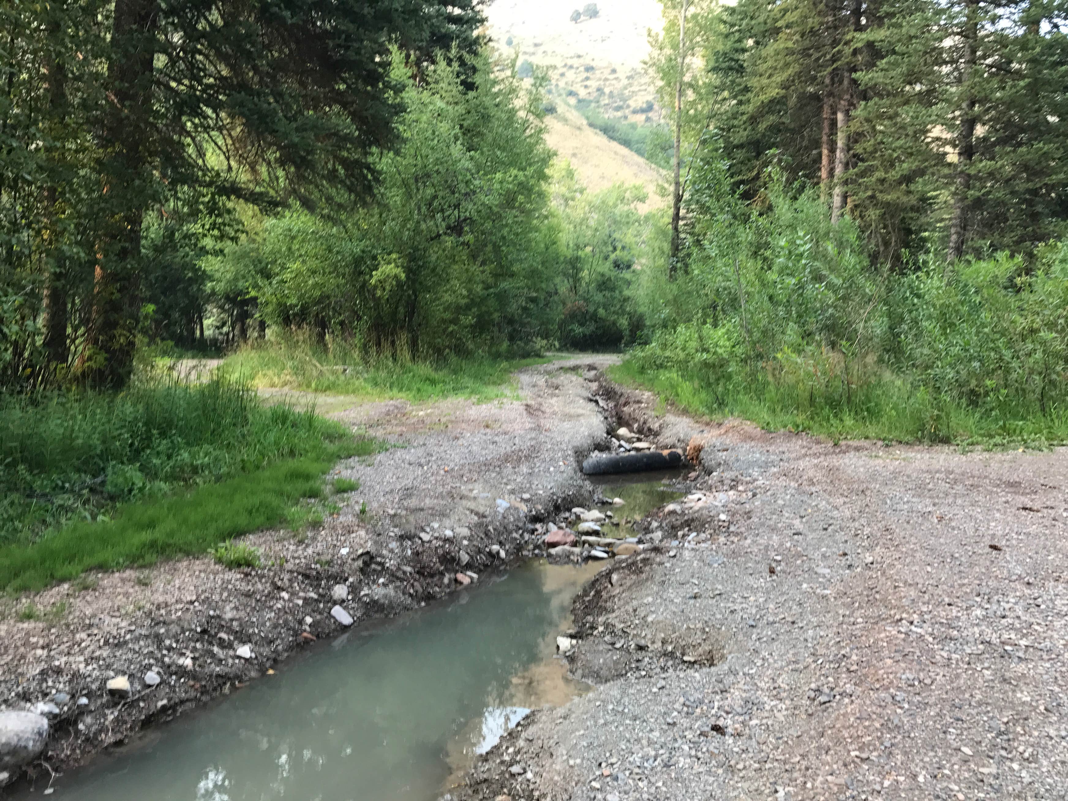 Swift Creek Campground Camping | The Dyrt