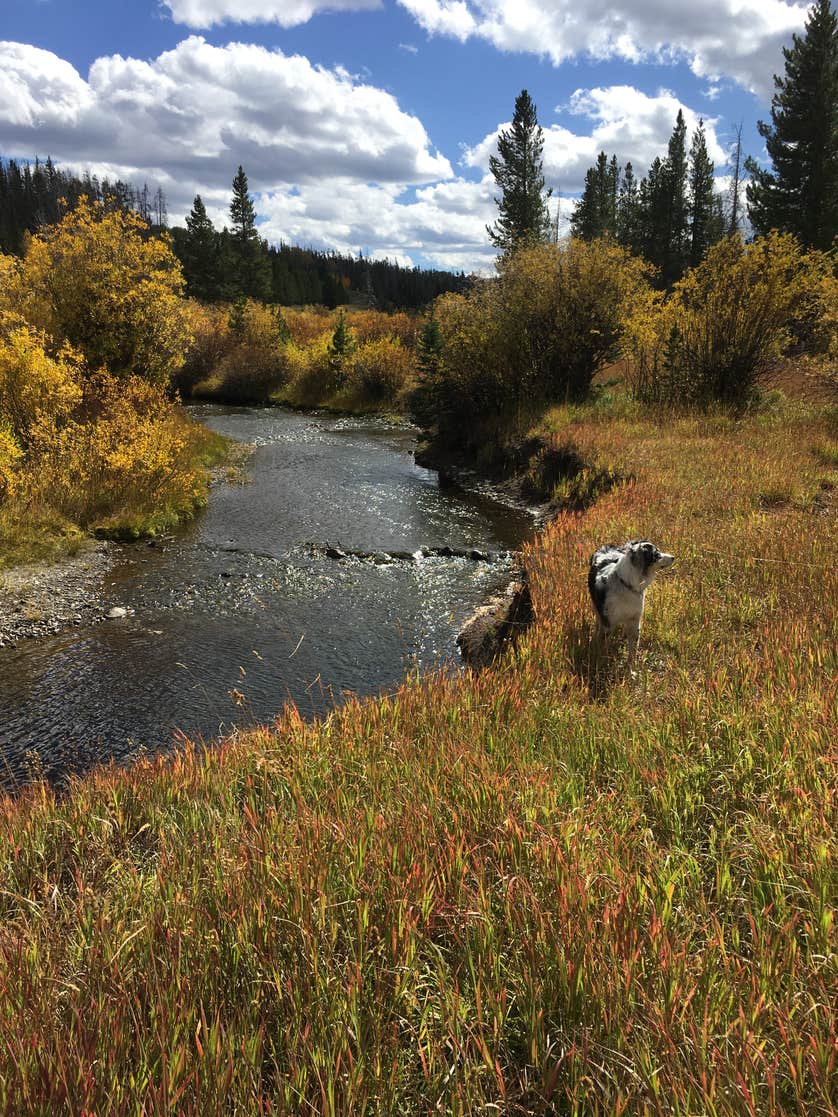 Jack Creek | The Dyrt