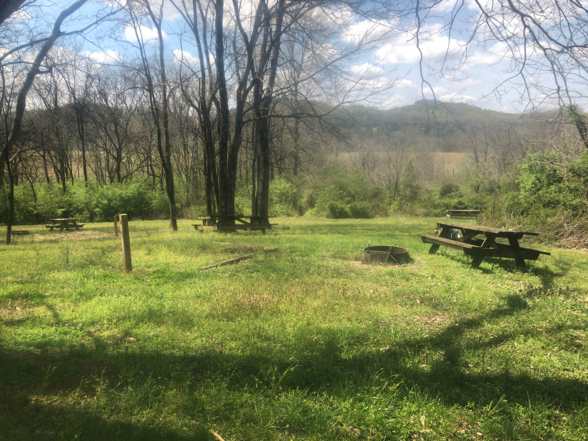 Bells Bend Park Camping | The Dyrt