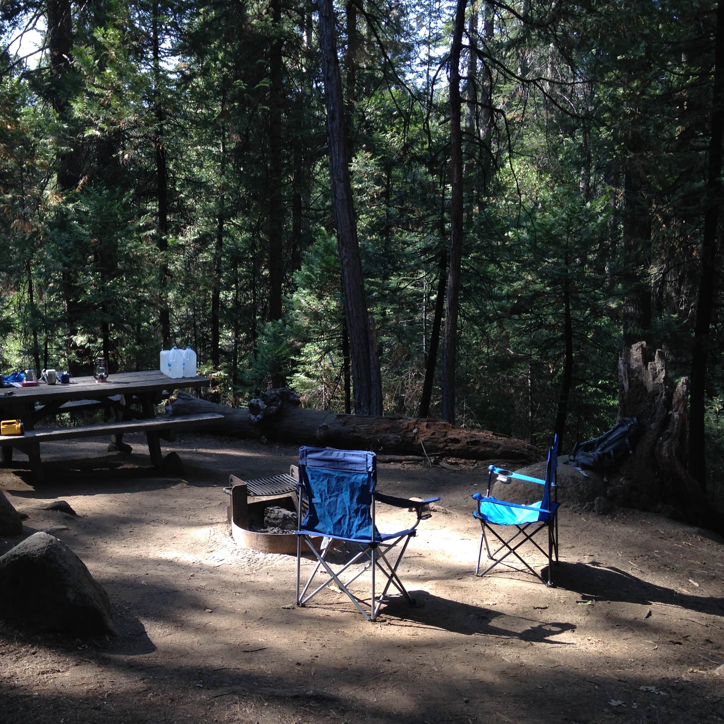 Chilkoot Campground Camping | The Dyrt