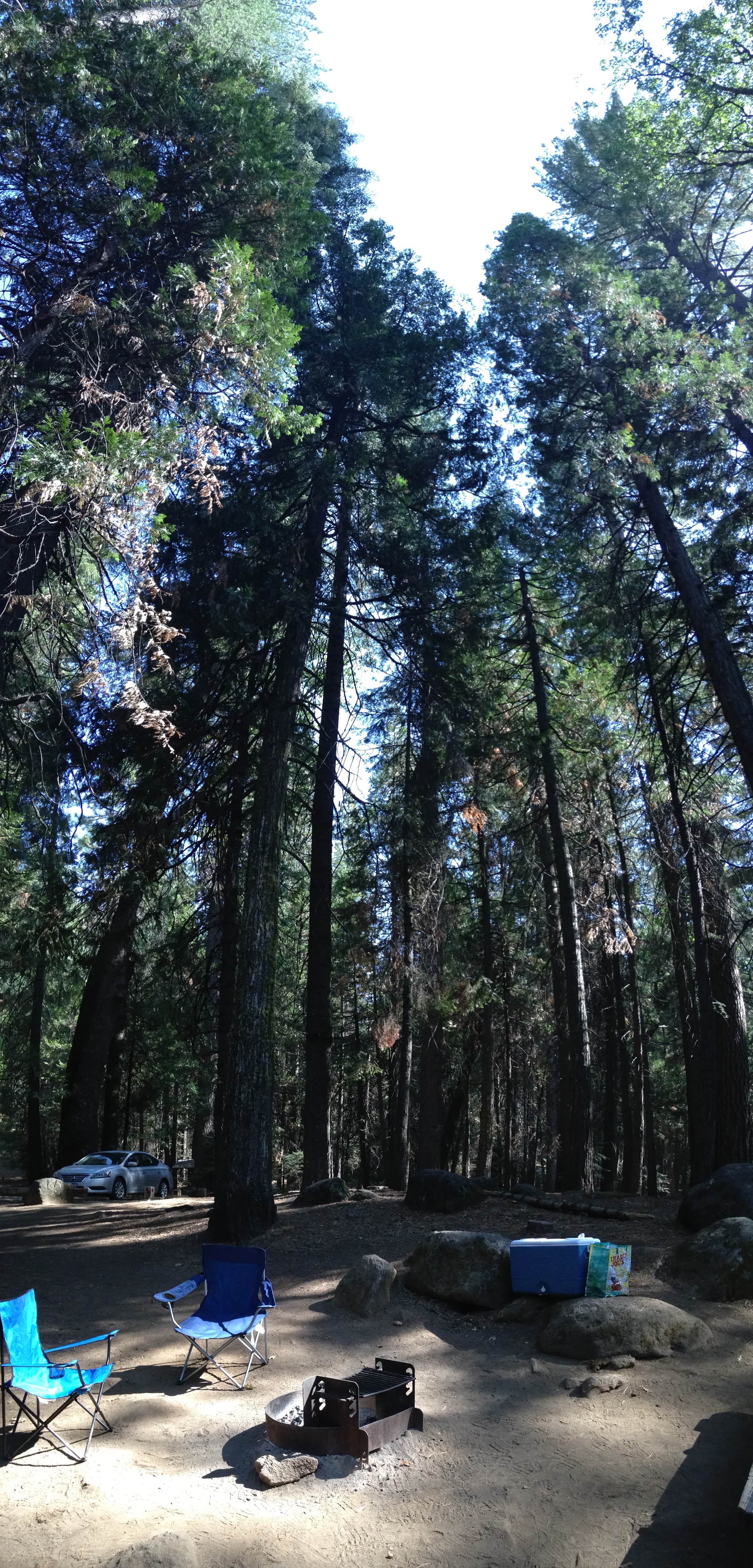 Chilkoot Campground | Bass Lake, CA