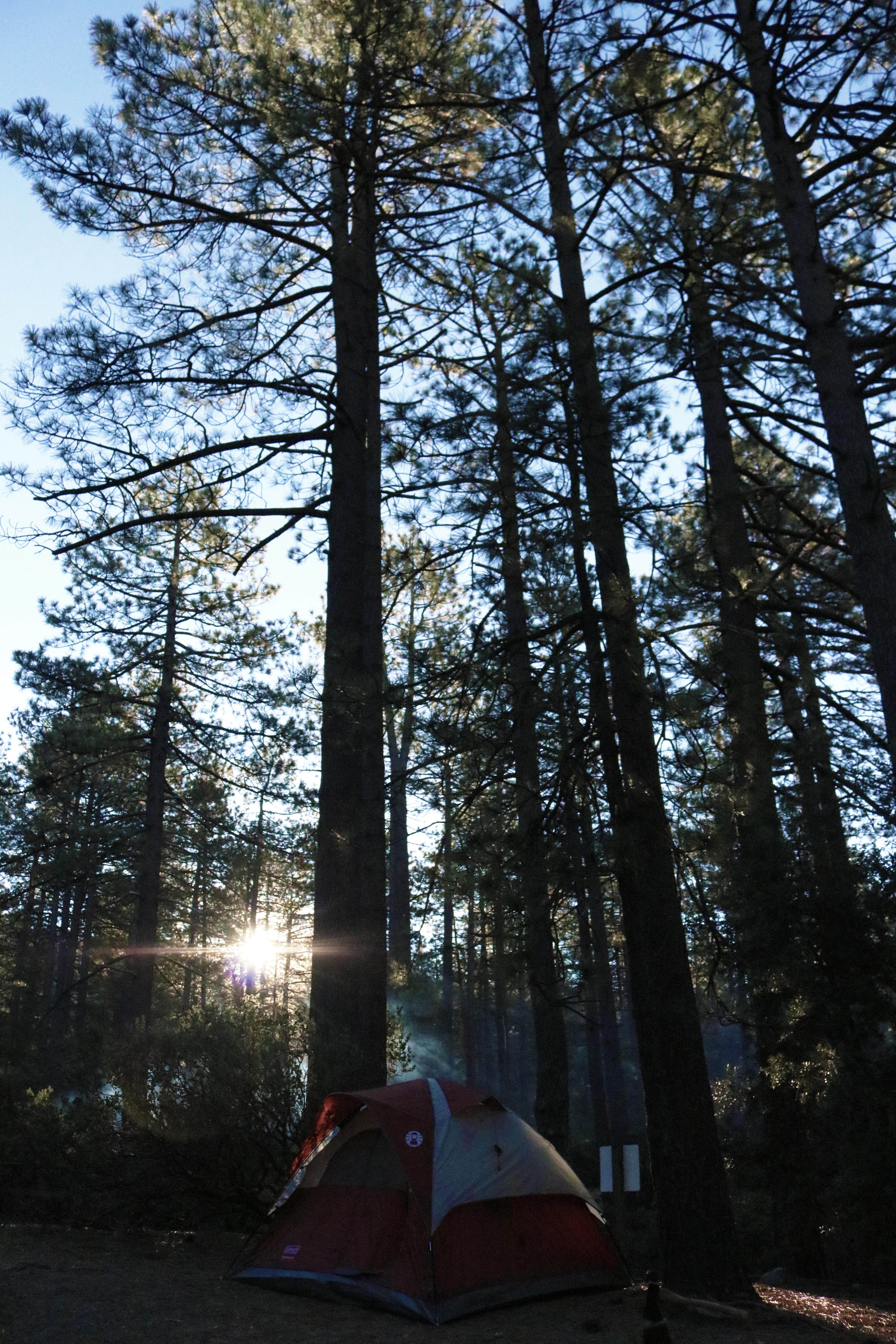 Idyllwild County Park | The Dyrt