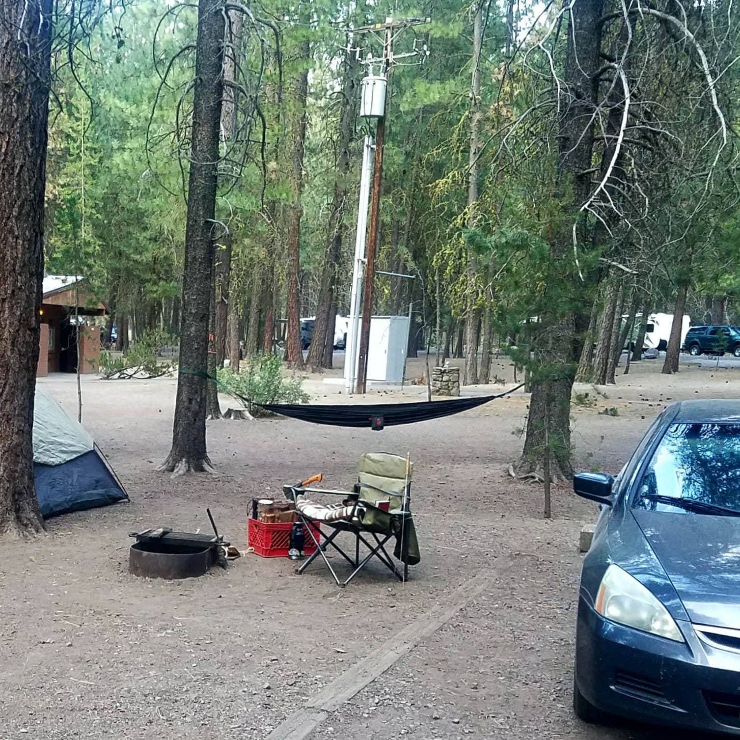 Collier Memorial State Park Camping | The Dyrt