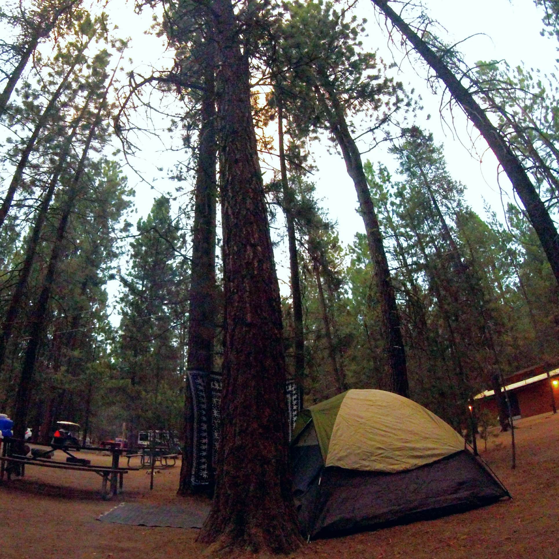 Collier Memorial State Park Camping | The Dyrt