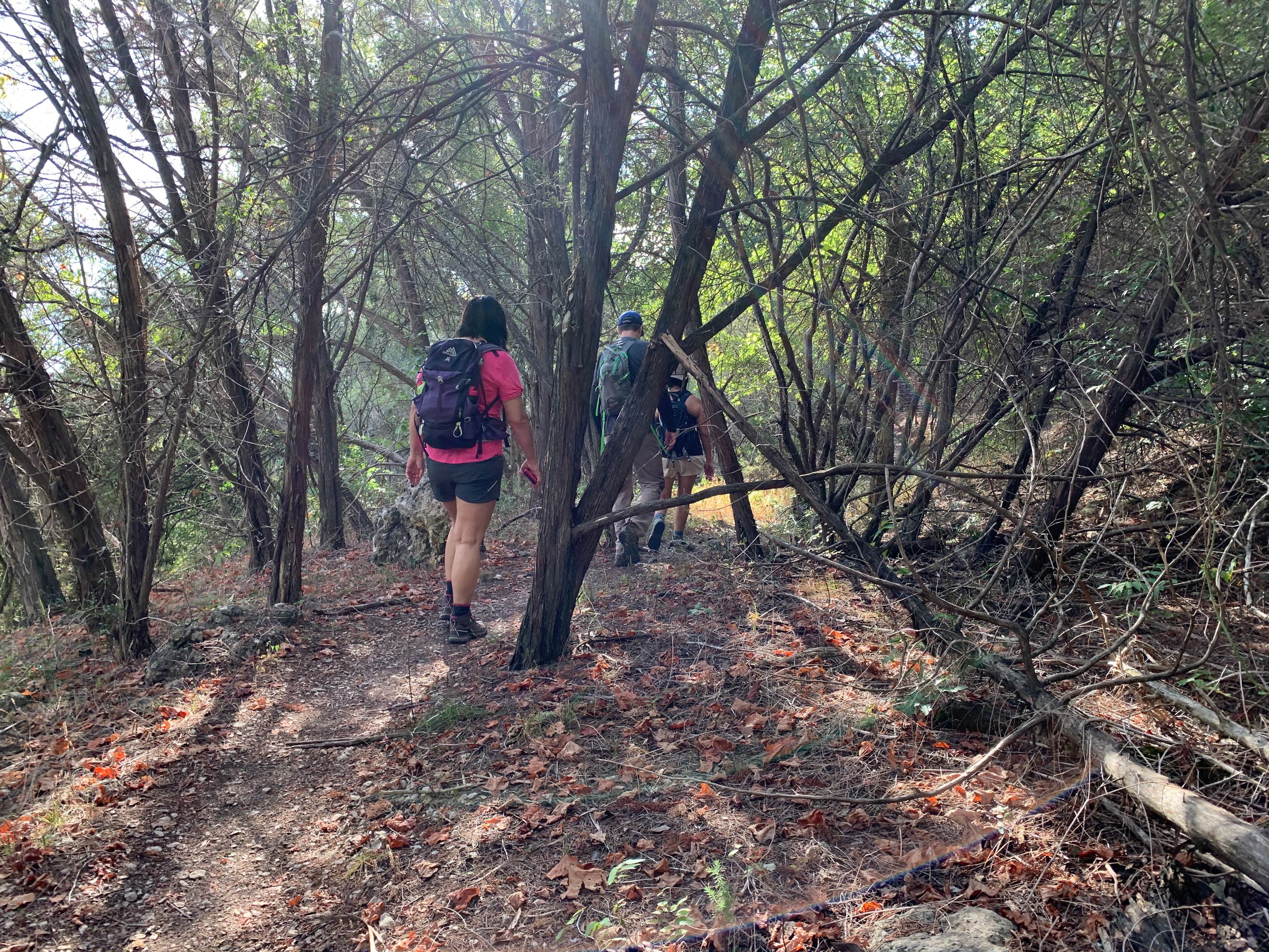 Russell Park Camping | The Dyrt