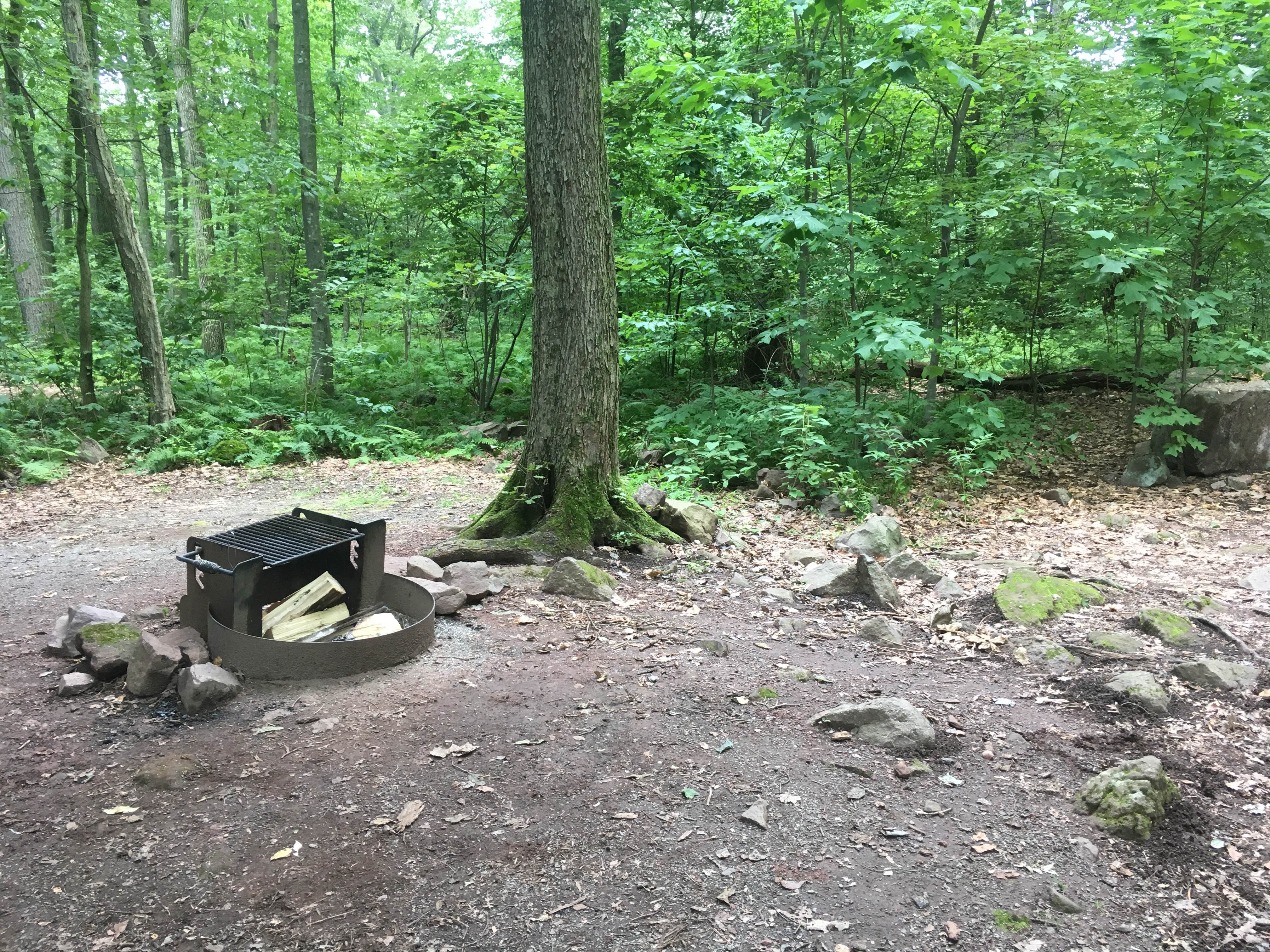 French Creek State Park Campground | Geigertown, Pennsylvania