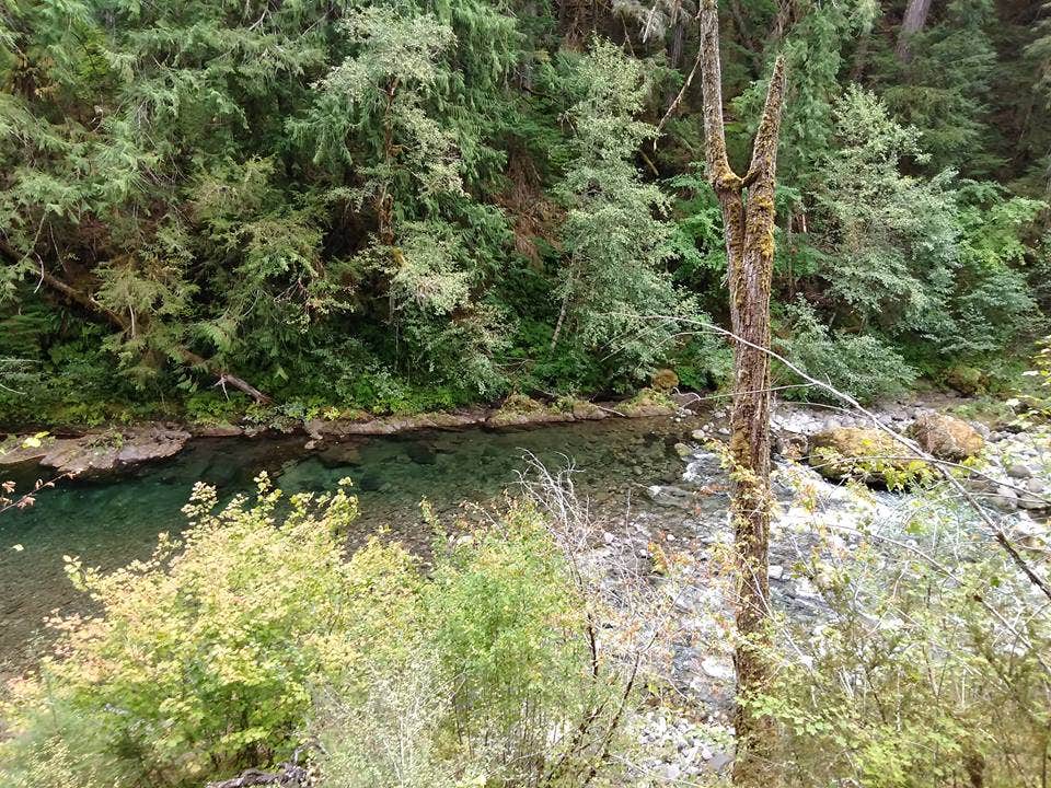 Humbug Campground | The Dyrt