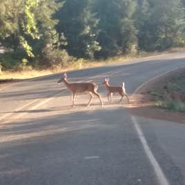 Lake Selmac County Park Camping | Selma, Oregon