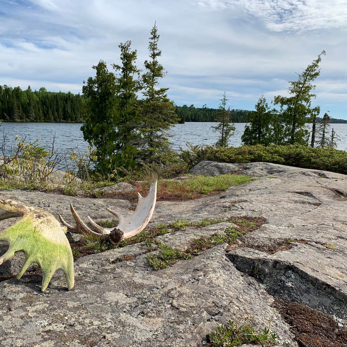 Moskey Basin Campground — Isle Royale National Park | Houghton, MI